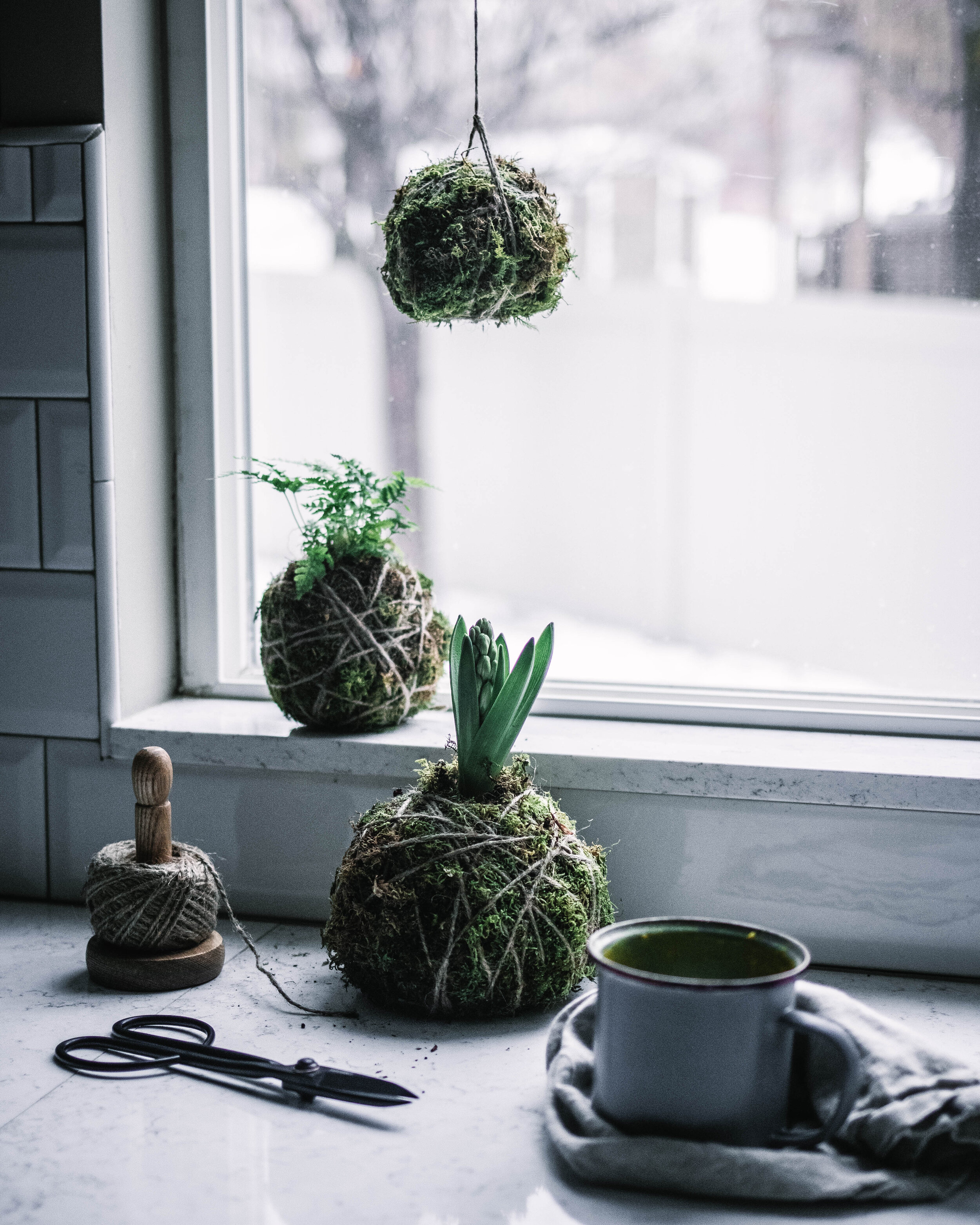 How to Make a Kokedama Garden - GATHER & GROW