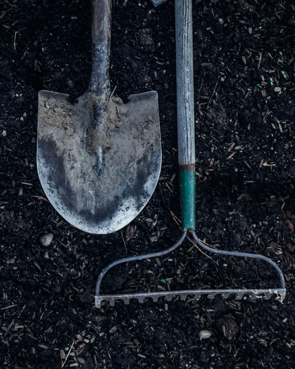 My Essential Gardening & Foraging Tools - GATHER & GROW