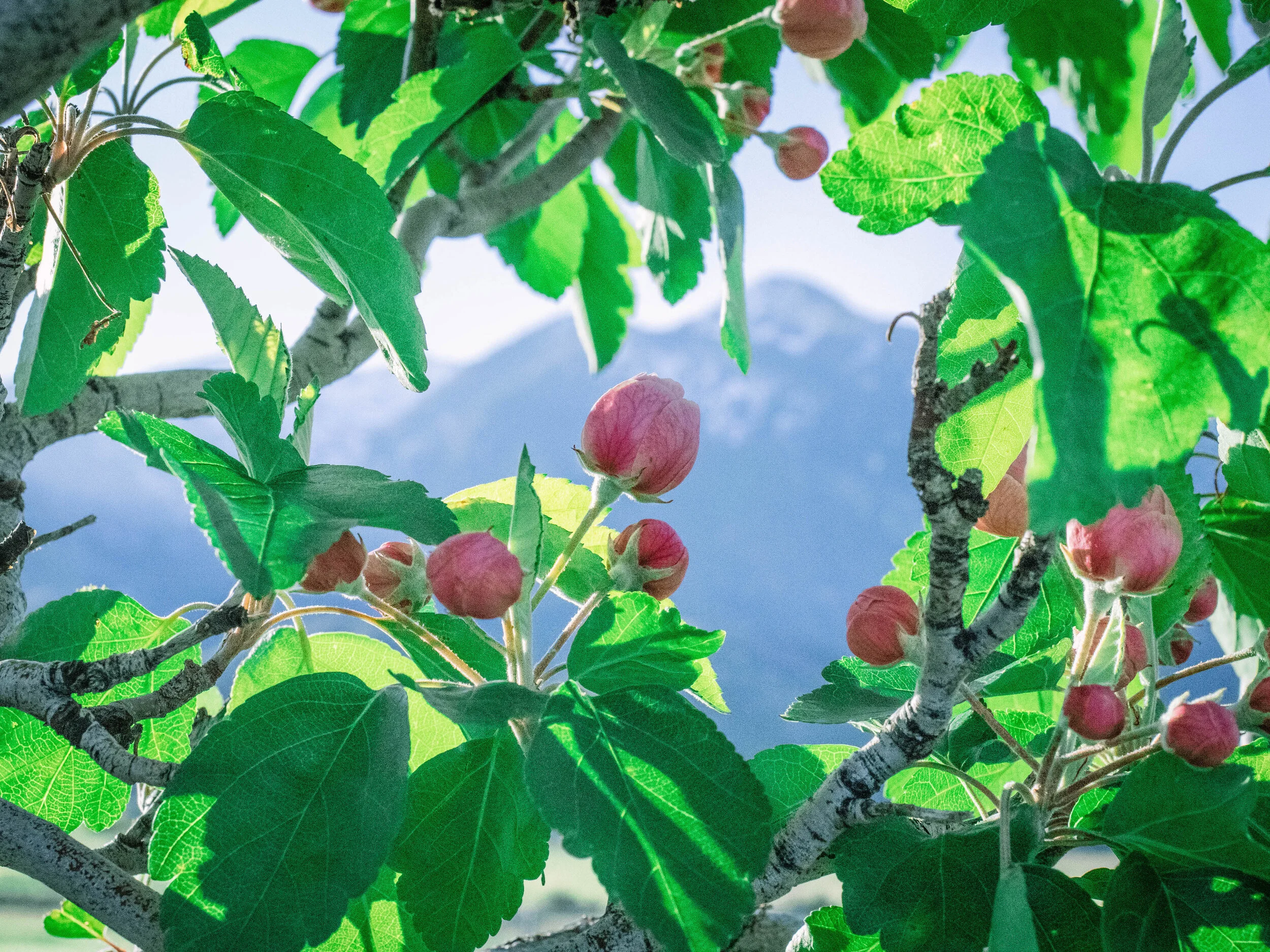 Spring Seasonal Living Tips - GATHER & GROW