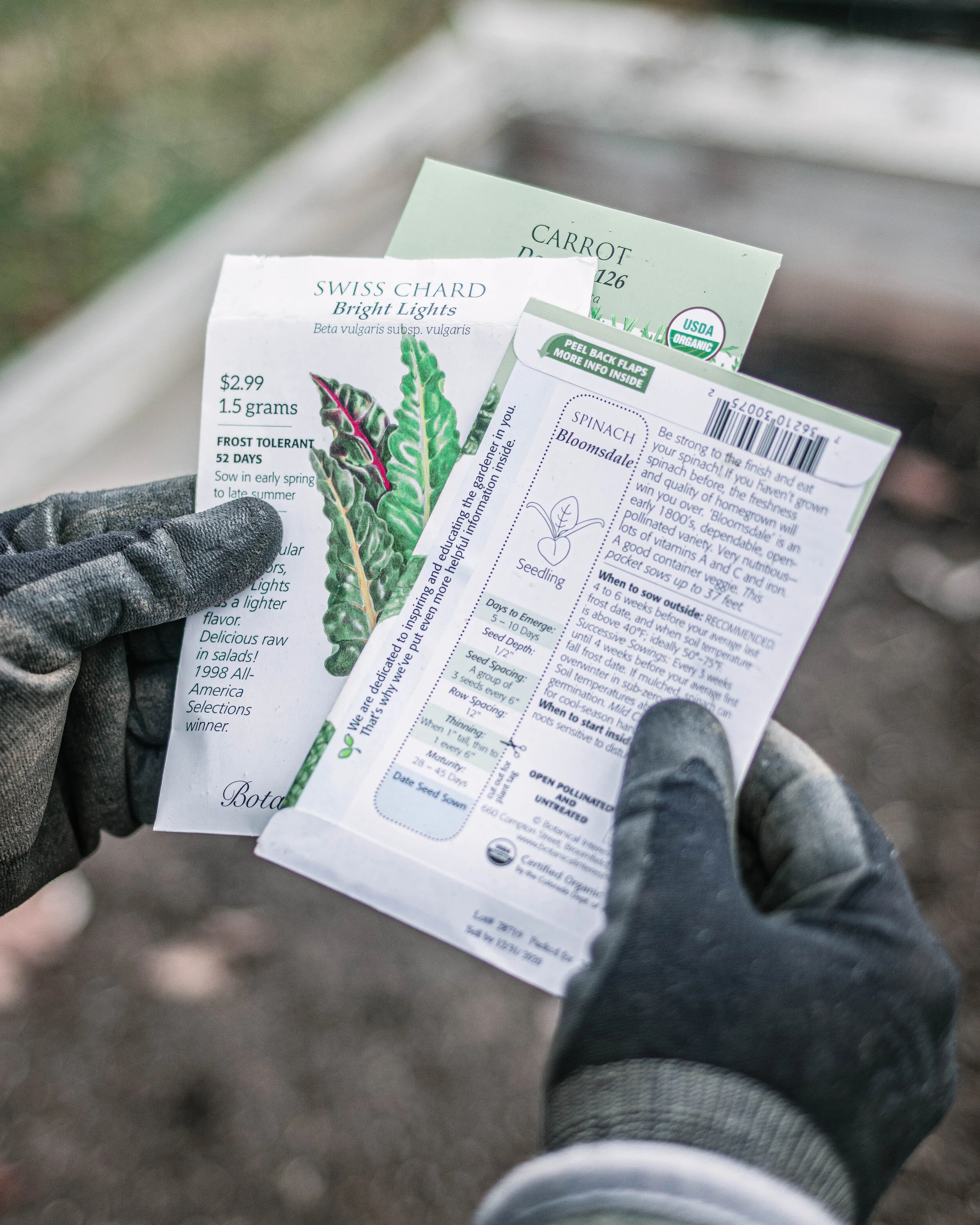 What to Plant in Spring & When - GATHER & GROW