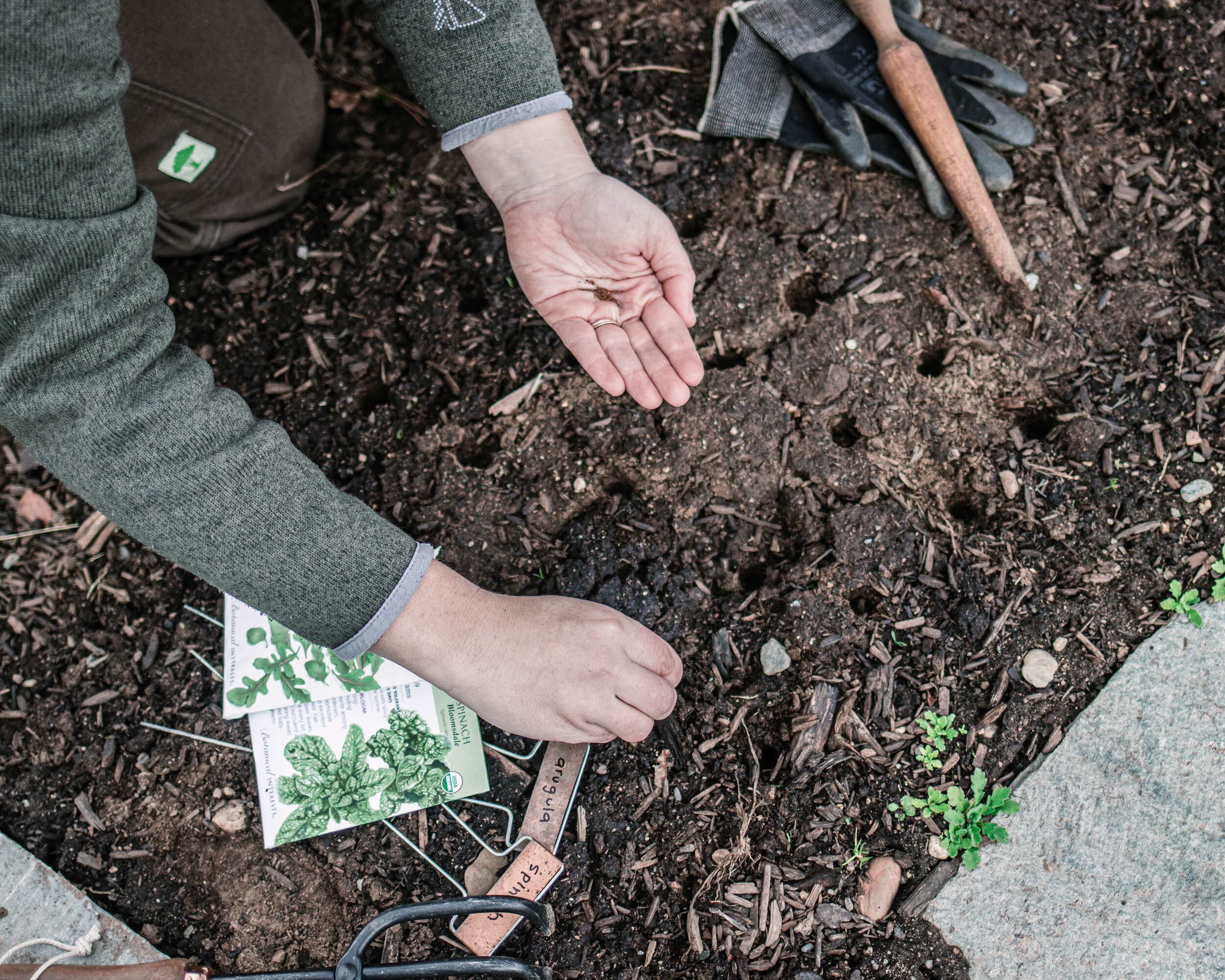 What to Plant in Spring & When - GATHER & GROW