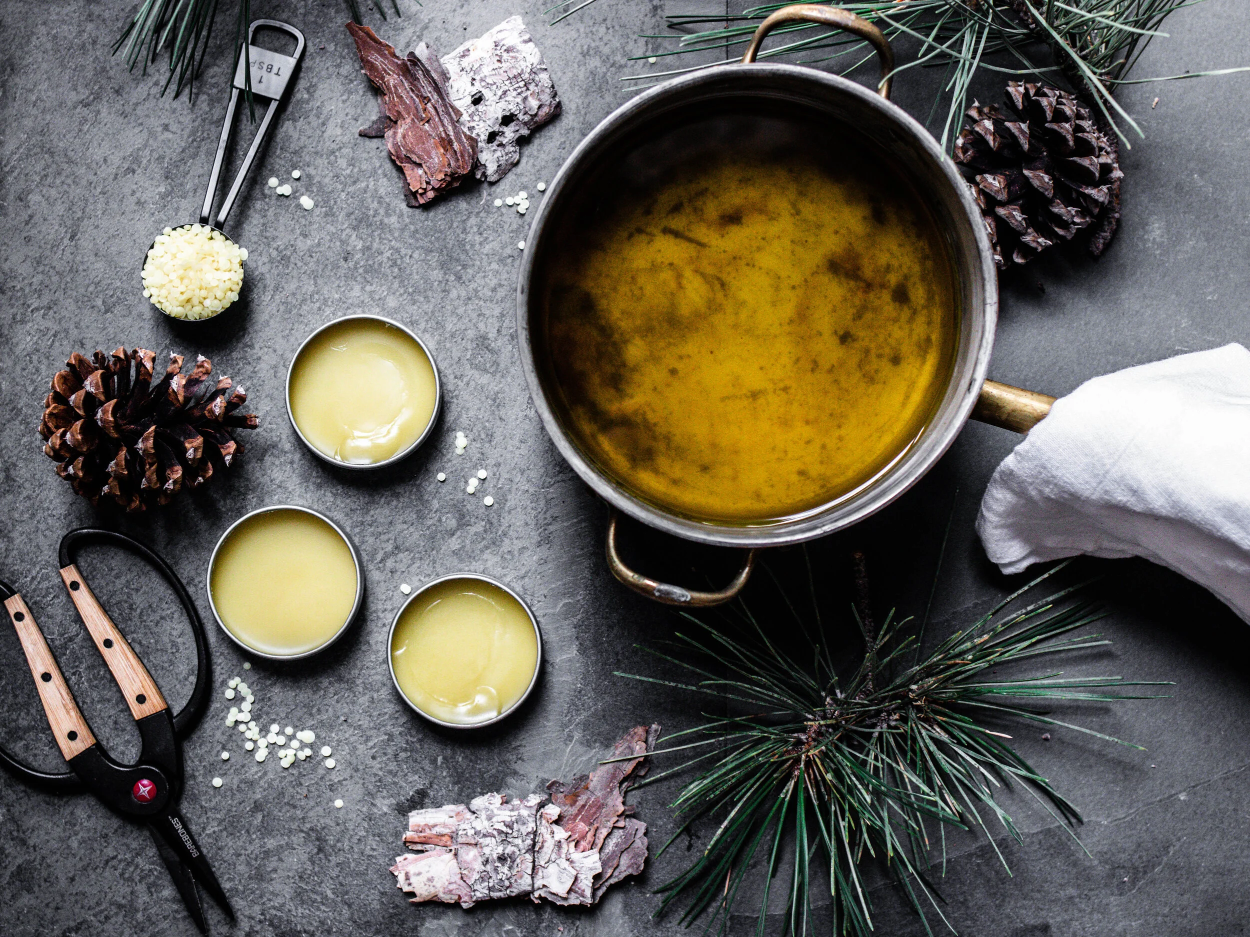 Wild Foraged Pine Resin Balm - GATHER & GROW