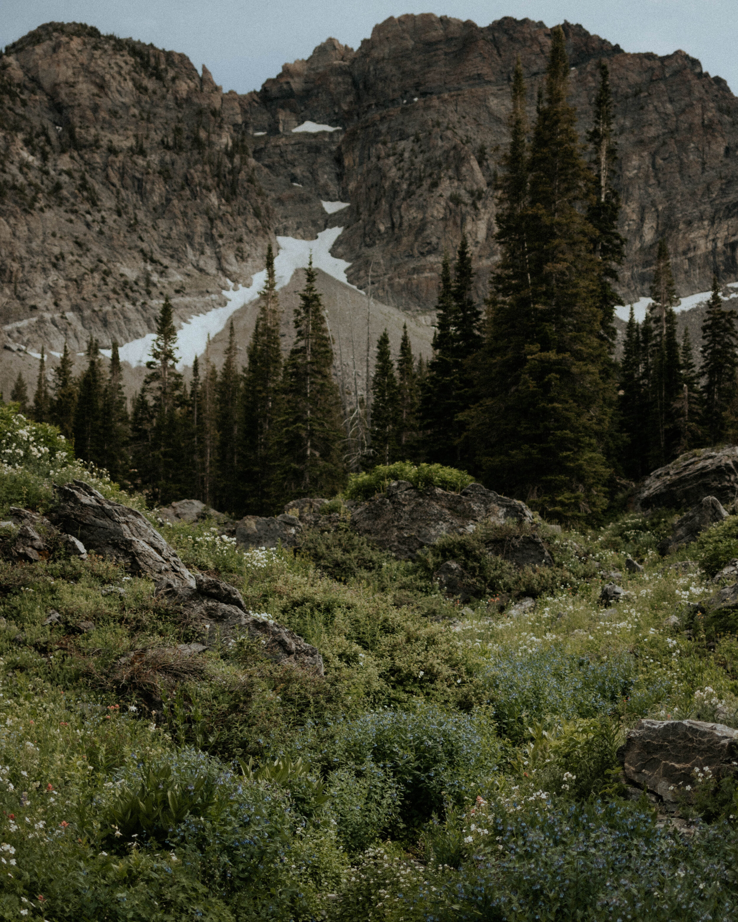 15 Ways to Rewild Yourself - GATHER & GROW