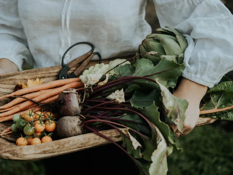GATHER & GROW - Offerings + Courses