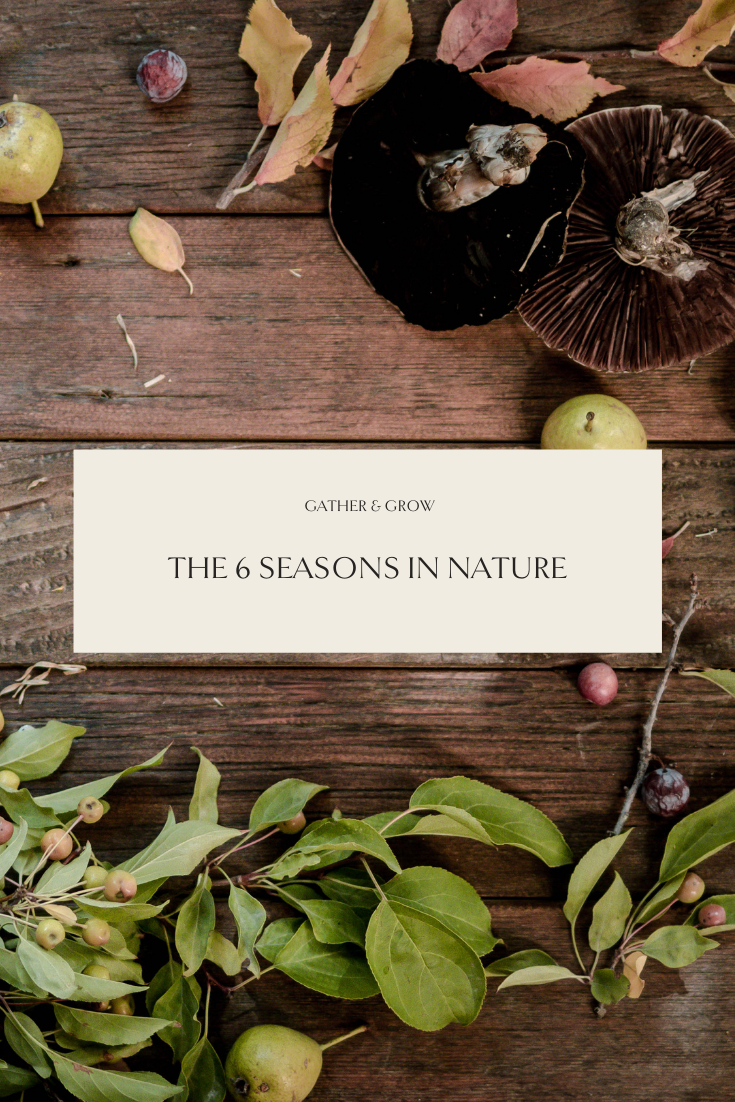 The 6 Seasons In Nature - GATHER & GROW