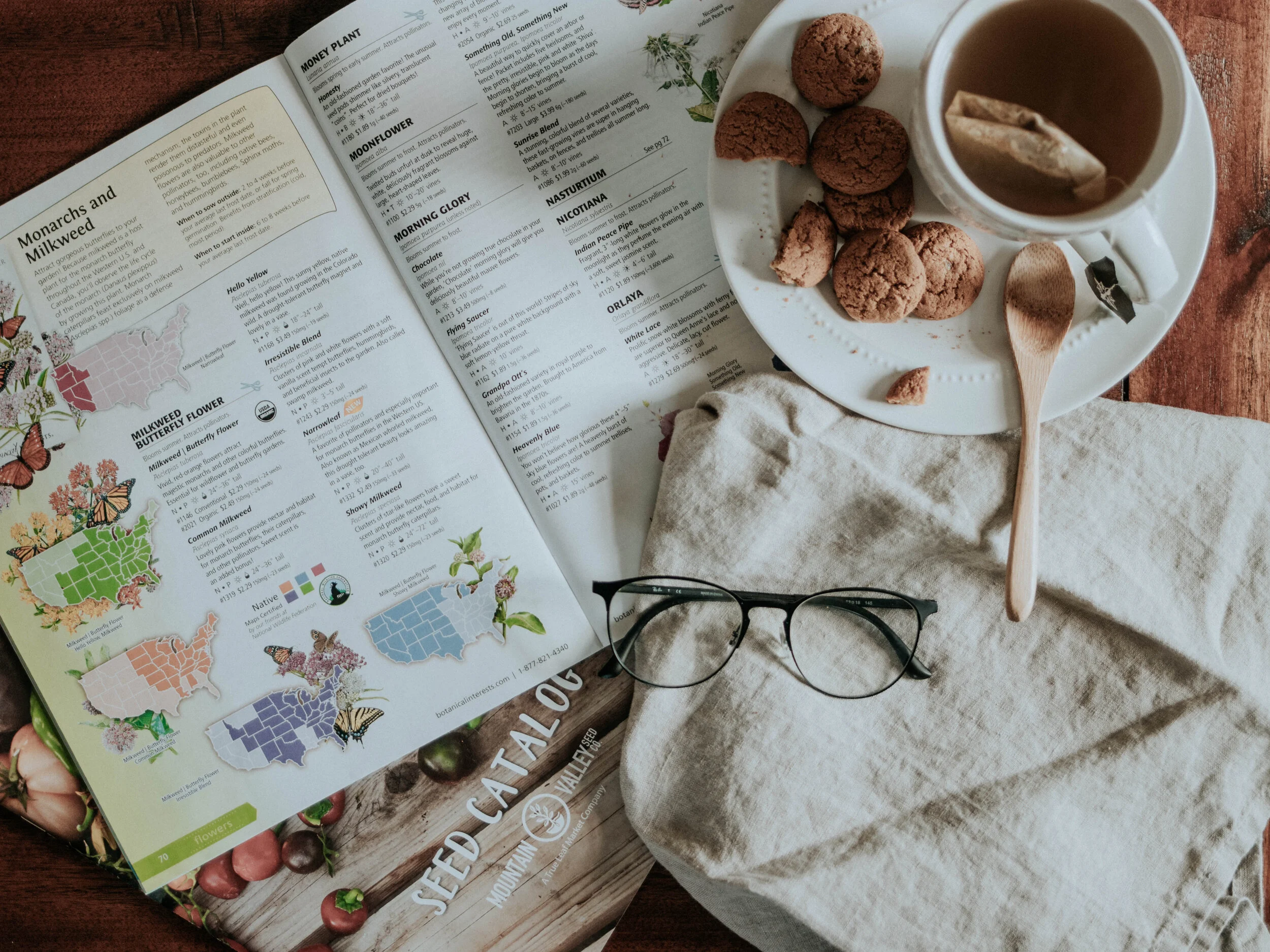 How & When to Shop for Seeds - GATHER & GROW