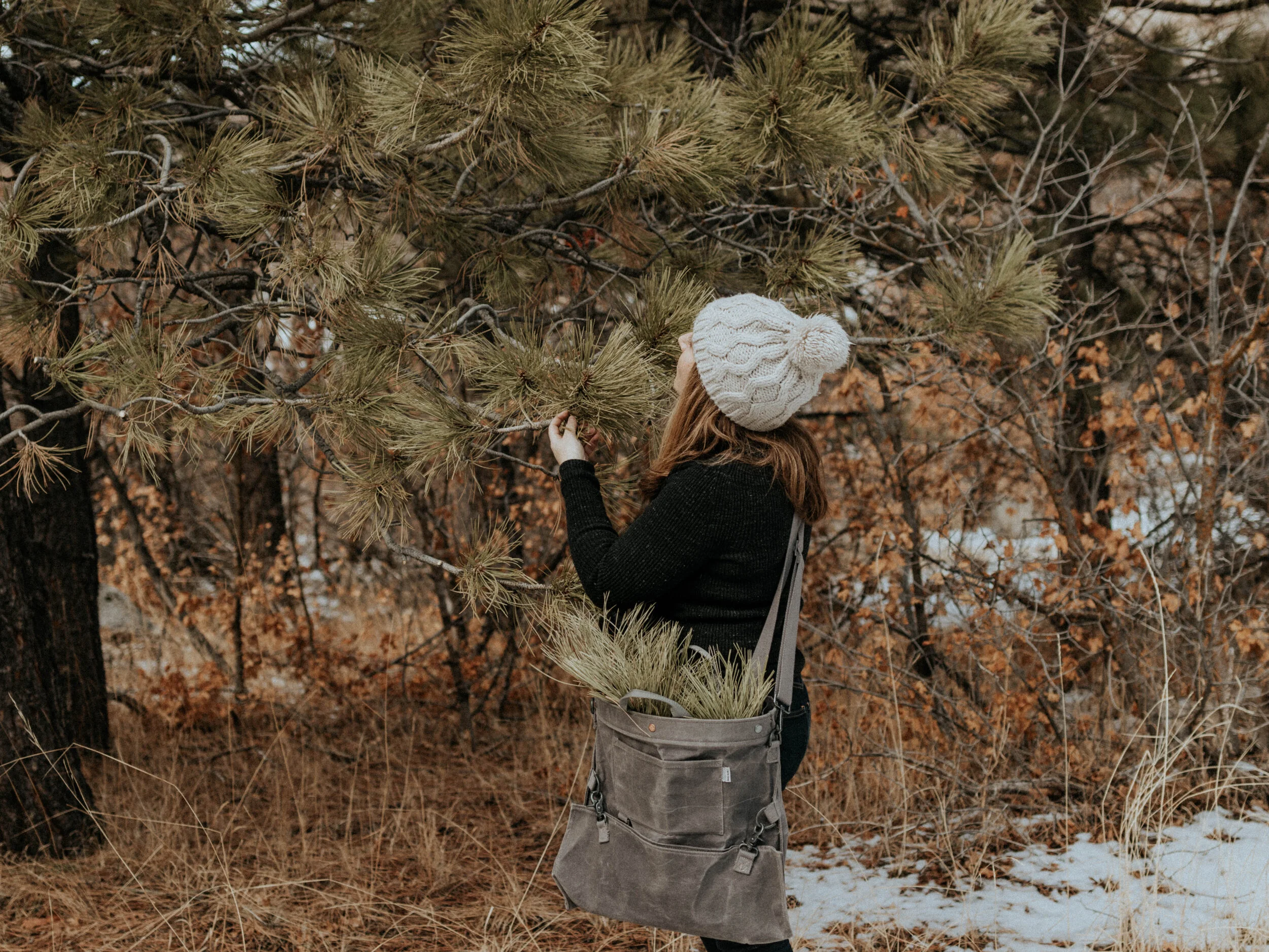 Wild Pine DIY Natural Cleaning Spray - GATHER & GROW