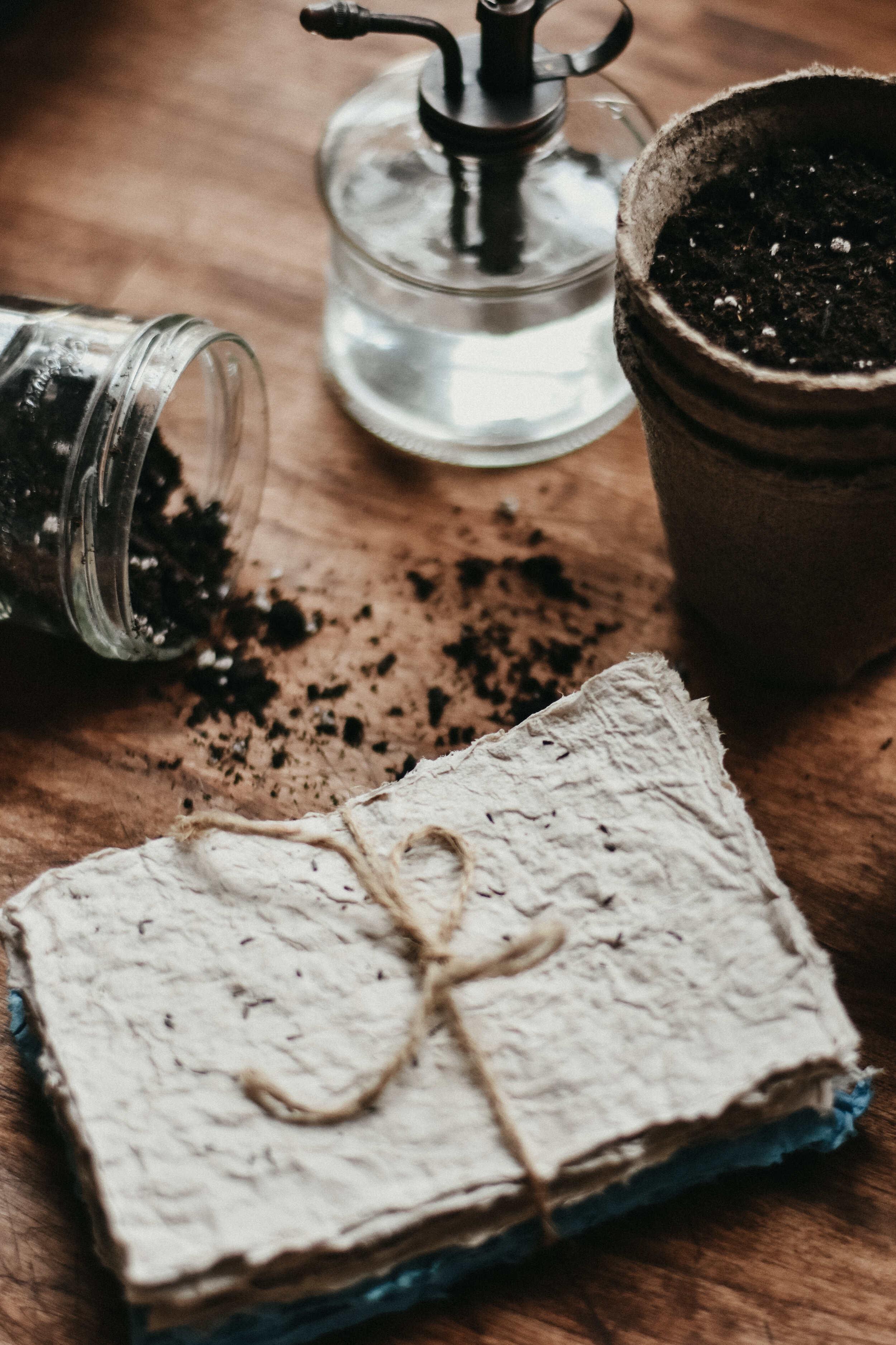 Wildflower Seed Paper: Creating Ostara Magic with Children - GATHER & GROW