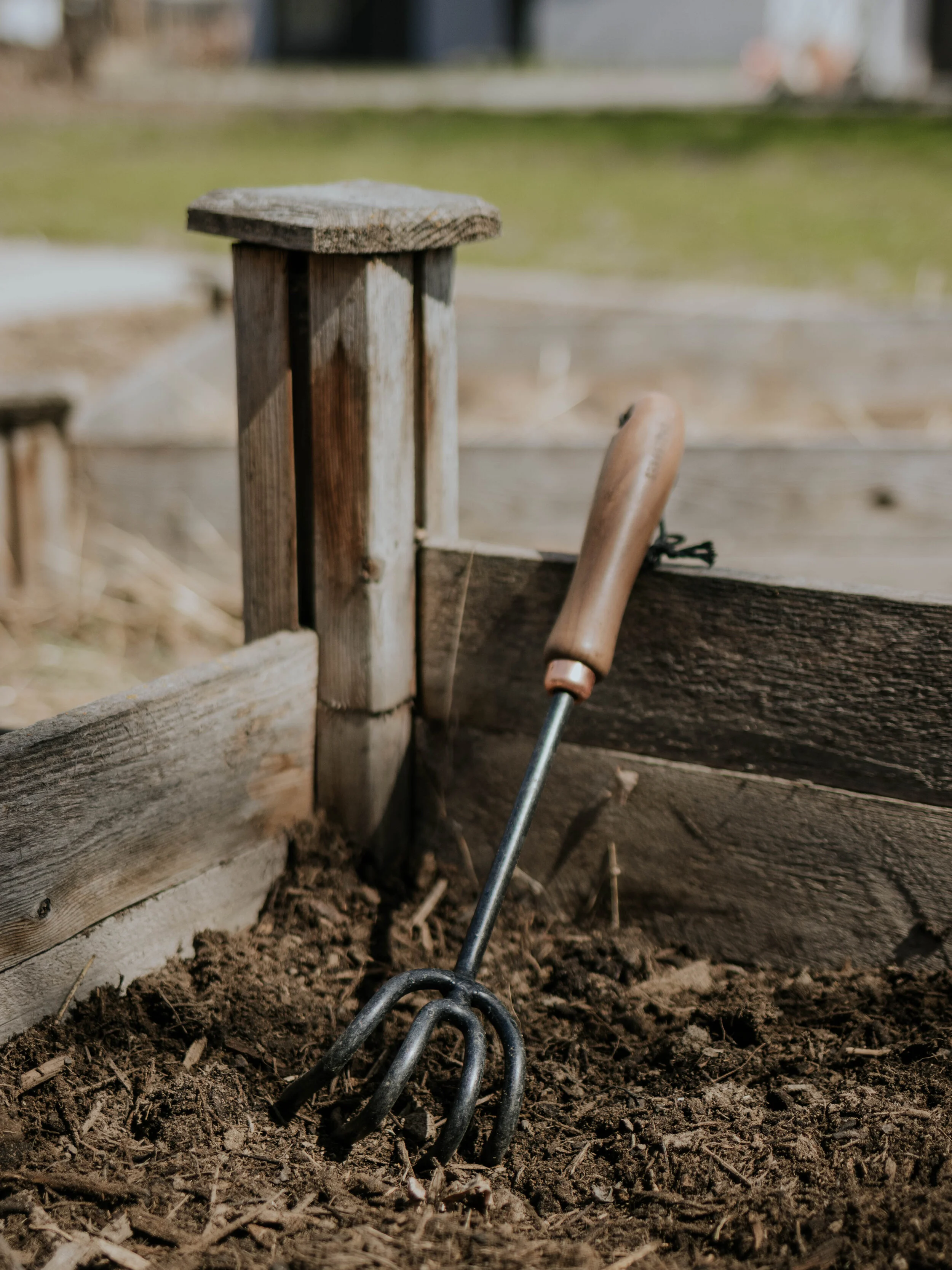 How to Prepare your Garden Beds for Spring - GATHER & GROW