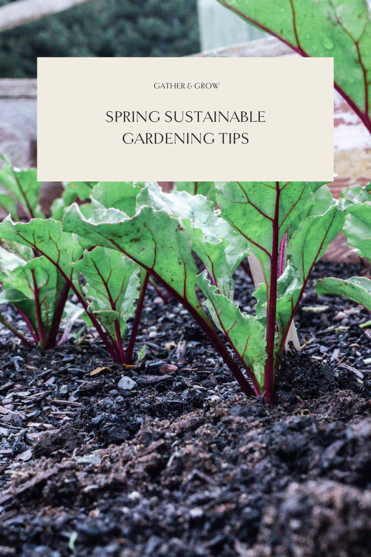 Spring Sustainable Gardening Tips - GATHER & GROW
