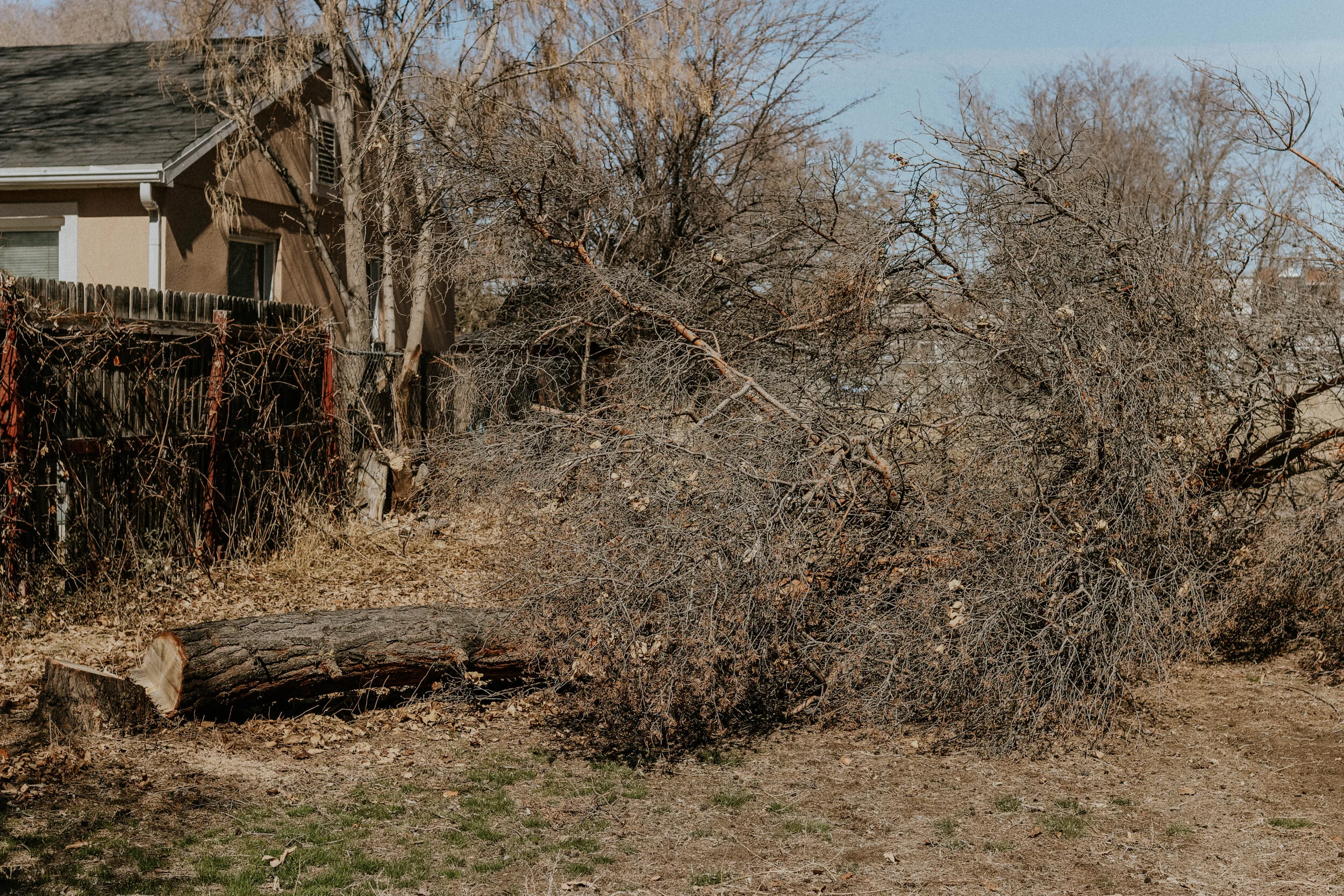 Re-landscaping Phase 1: Demolition - GATHER & GROW