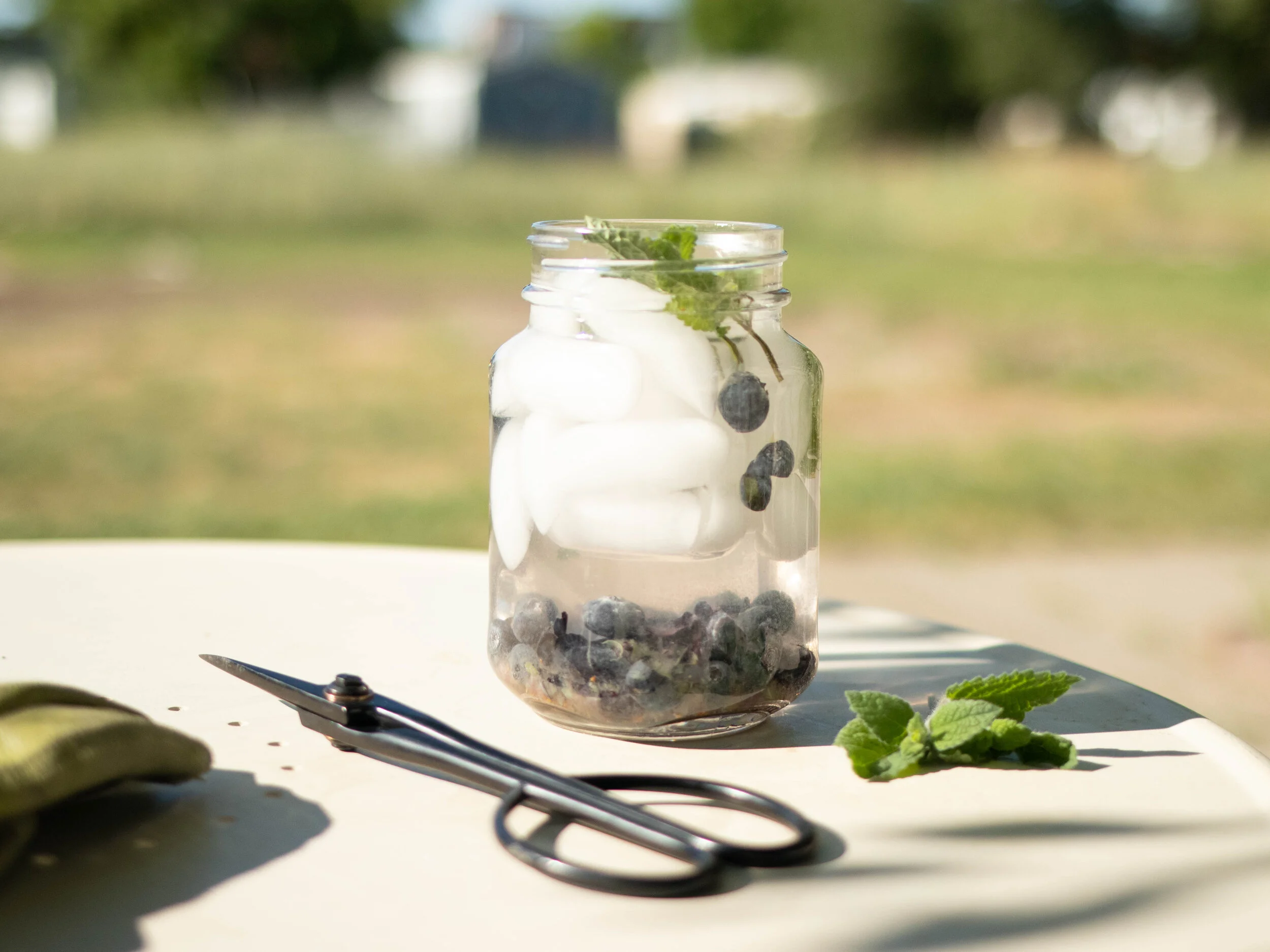 5 Refreshing Herbal Waters to try this summer - GATHER & GROW