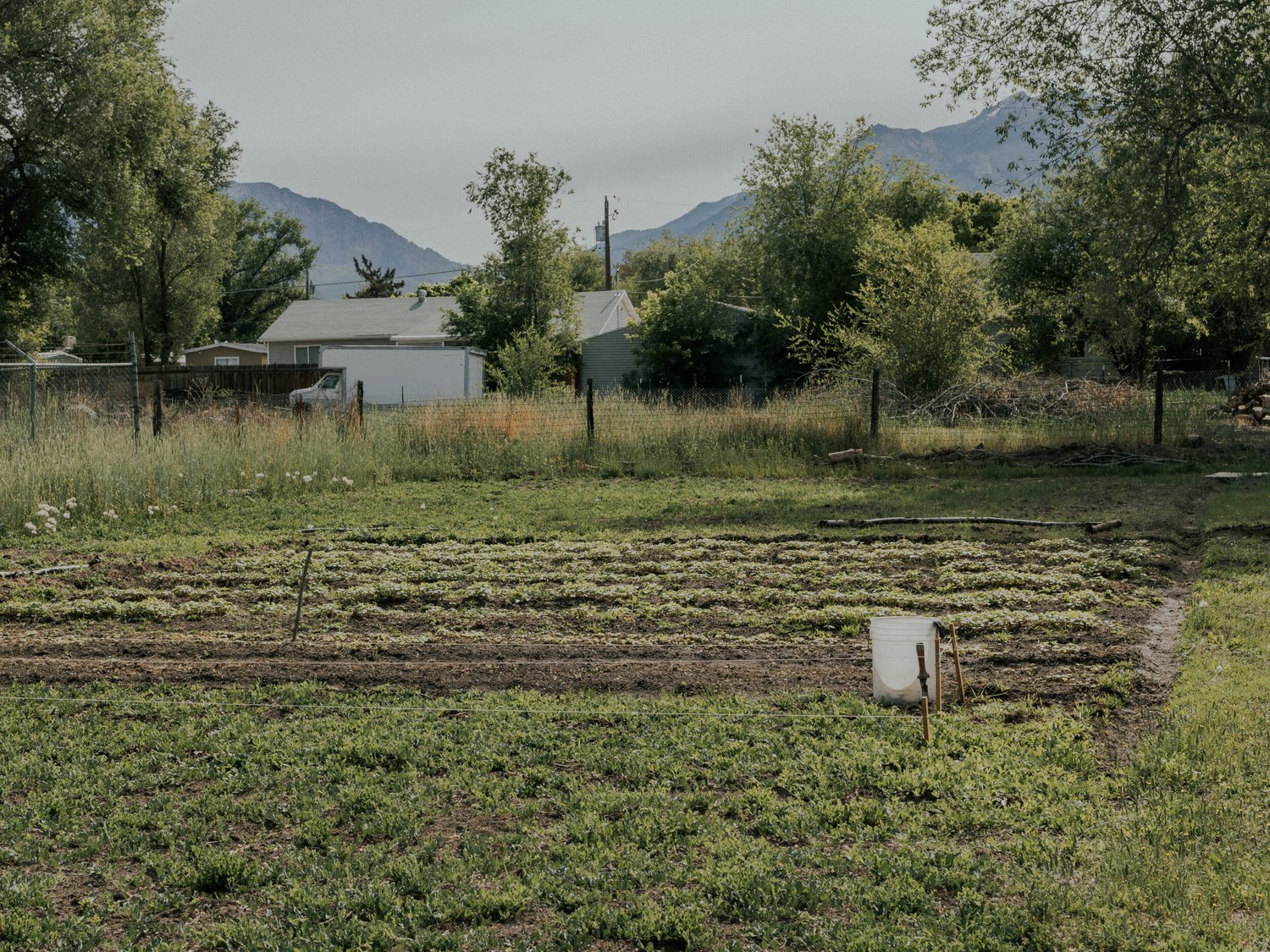 Re-landscaping Phase II: Irrigation + Building a Kitchen Garden ...