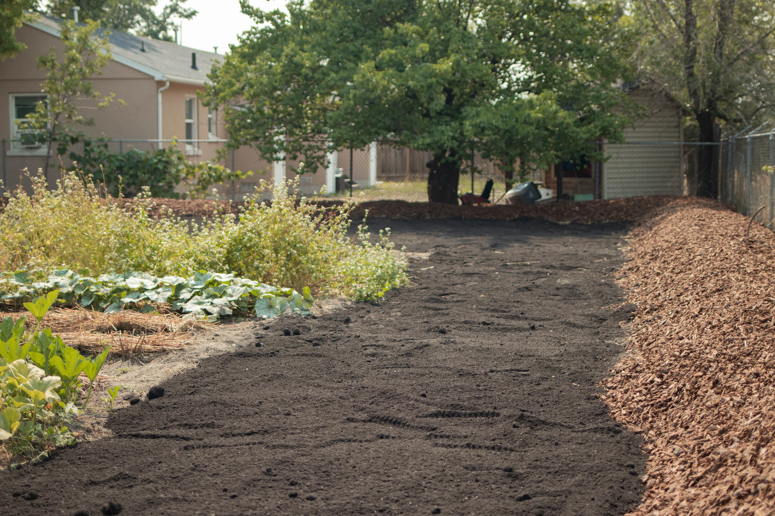 How & Why We built a Hügelkultur Privacy Berm in our Backyard - GATHER ...