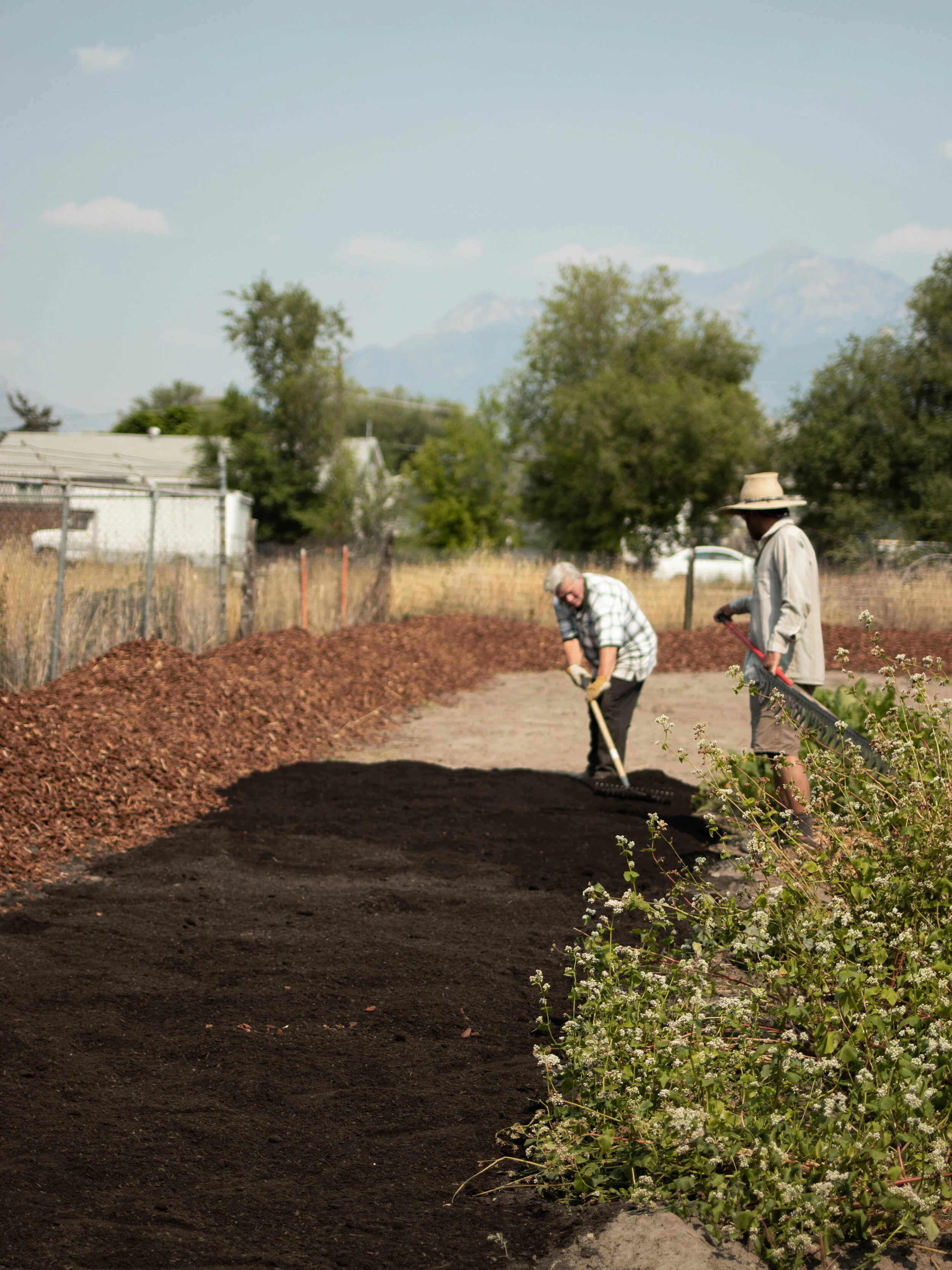 How & Why We built a Hügelkultur Privacy Berm in our Backyard - GATHER ...