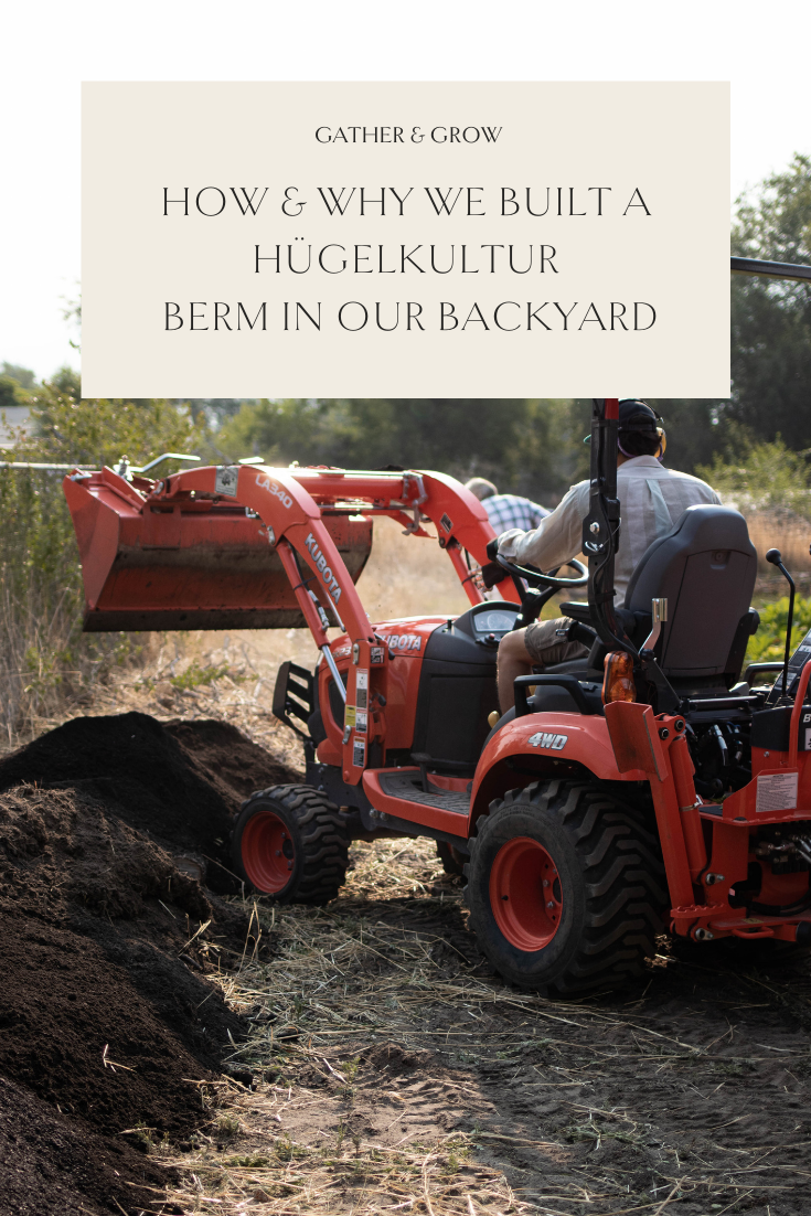 How & Why We built a Hügelkultur Privacy Berm in our Backyard - GATHER ...