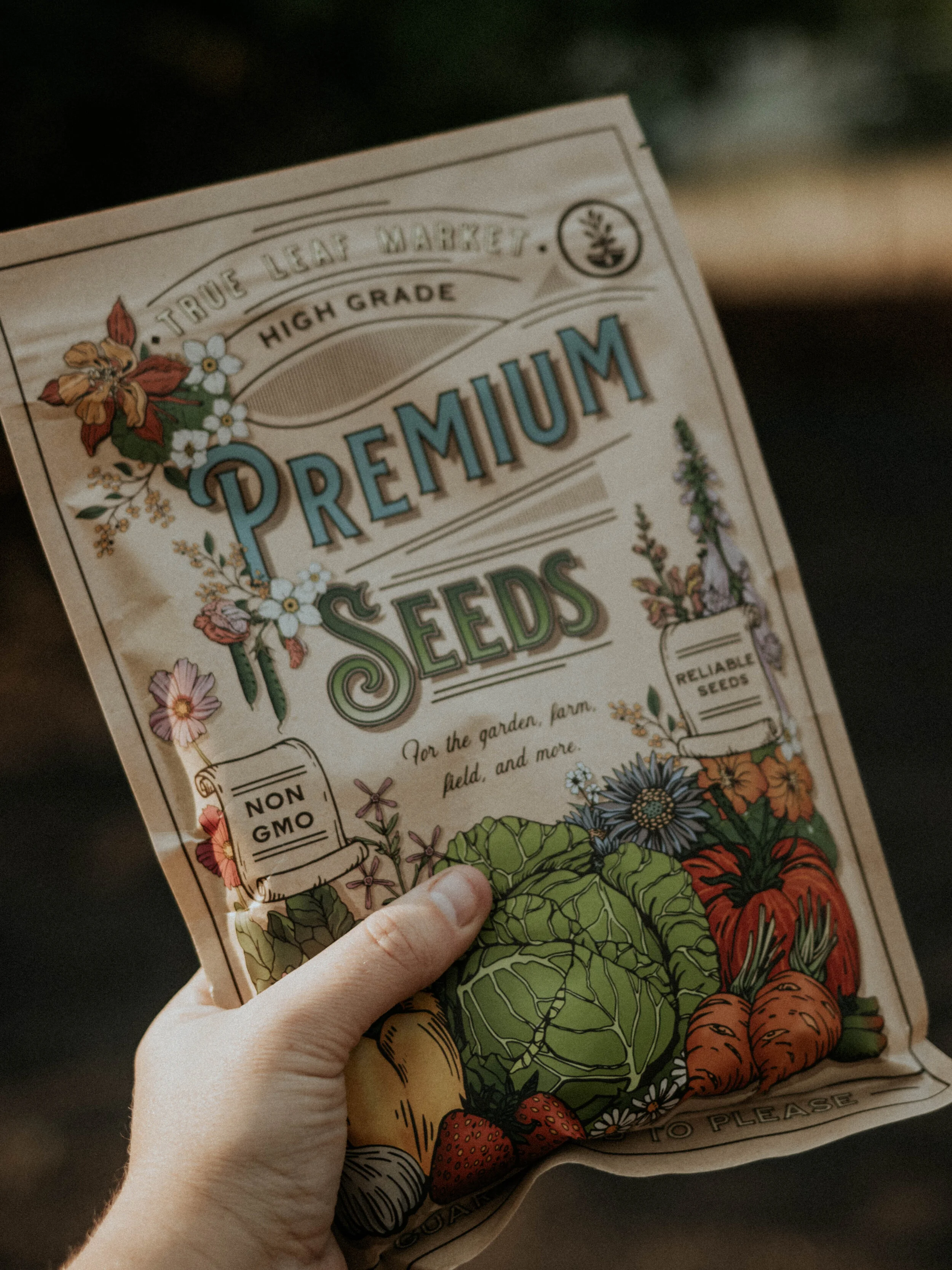 Cover Crops & Why You Need Them in Your Garden - GATHER & GROW