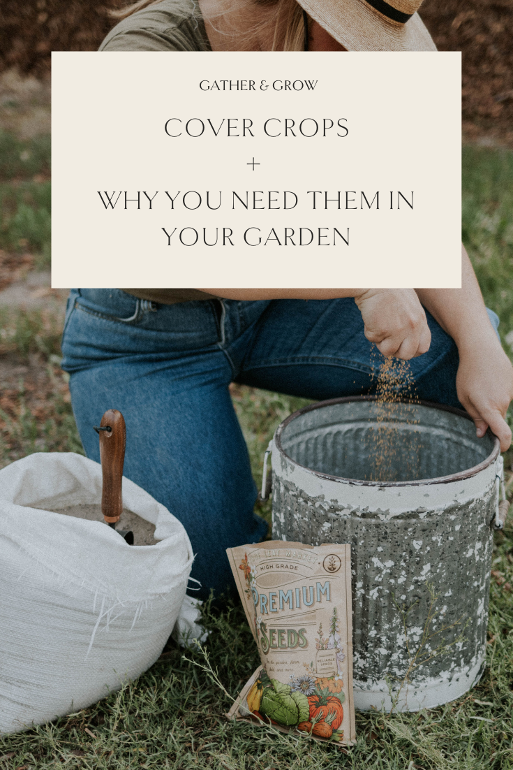 Cover Crops & Why You Need Them in Your Garden - GATHER & GROW