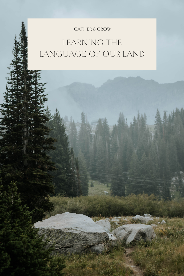 Learning the Language of our Land - GATHER & GROW