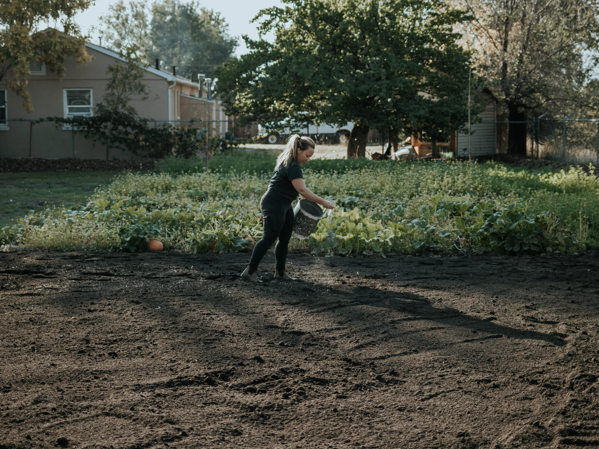 How to Install a Native Wildflower Meadow - GATHER & GROW