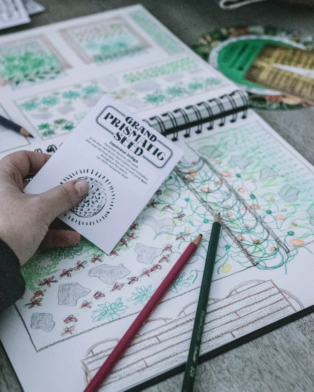 How To Plan Your Garden - GATHER & GROW