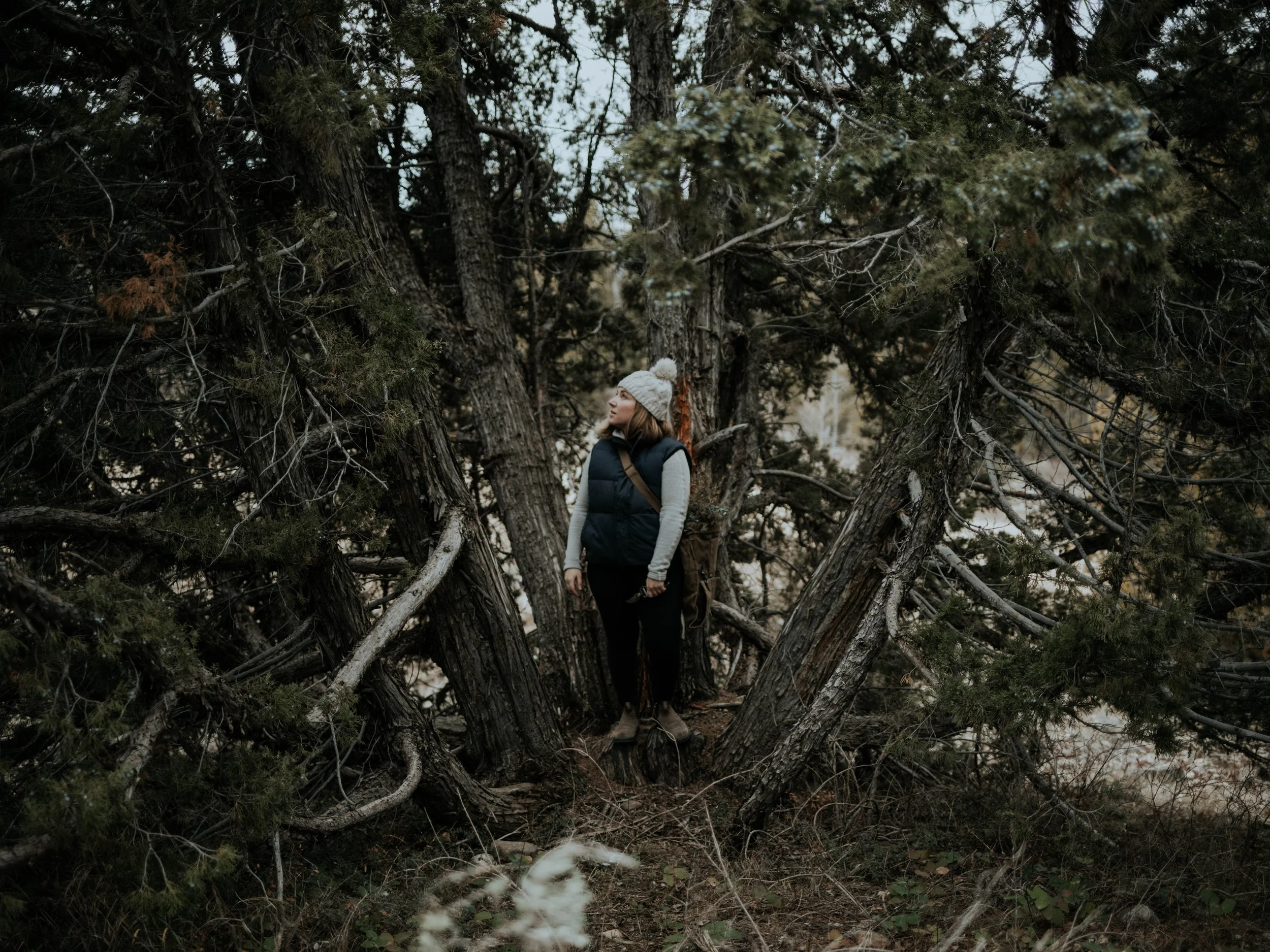 A Forager’s Checklist for Safe, Sustainable & Ethical Foraging - GATHER ...