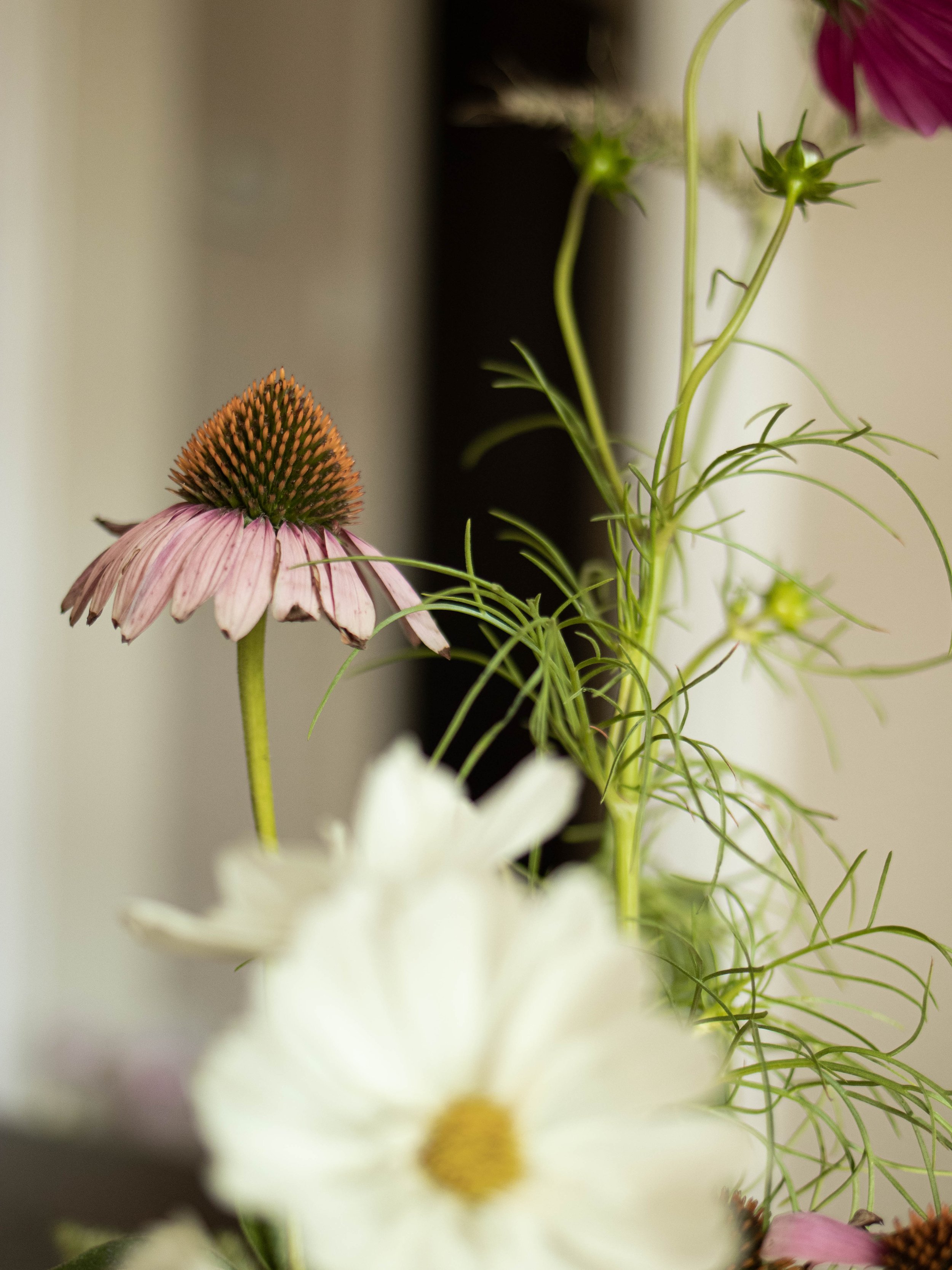 What to Forage & Wildcraft in Each Season - GATHER & GROW