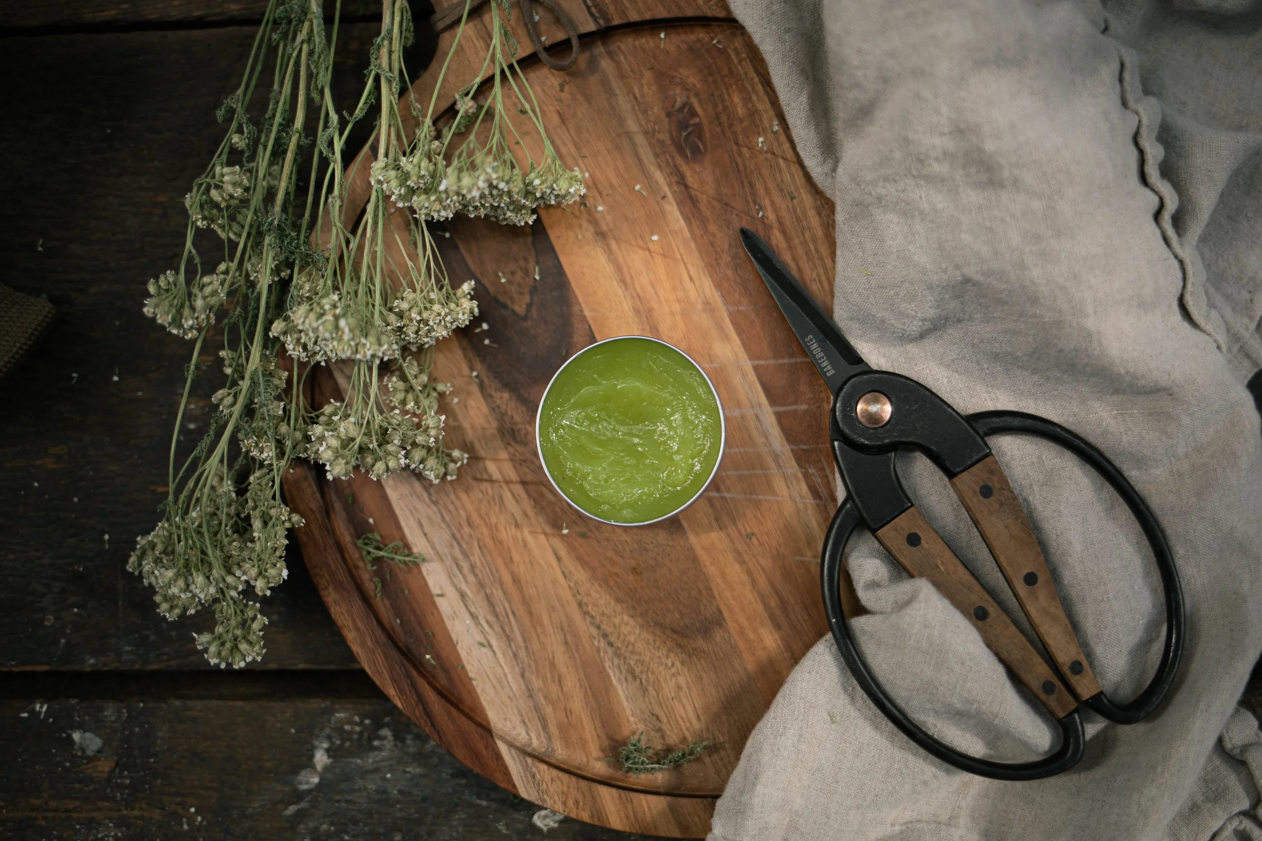Wildcrafted First Aid Yarrow Salve - GATHER & GROW