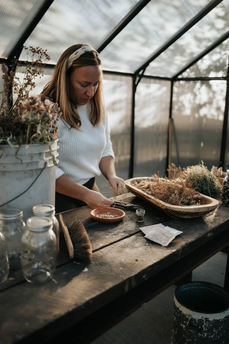 How to Save + Store Seeds - GATHER & GROW