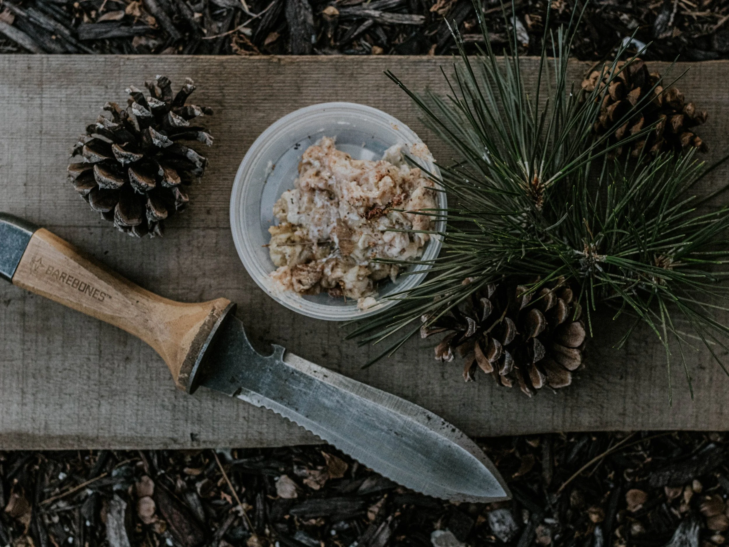 What to Forage & Wildcraft in Each Season - GATHER & GROW