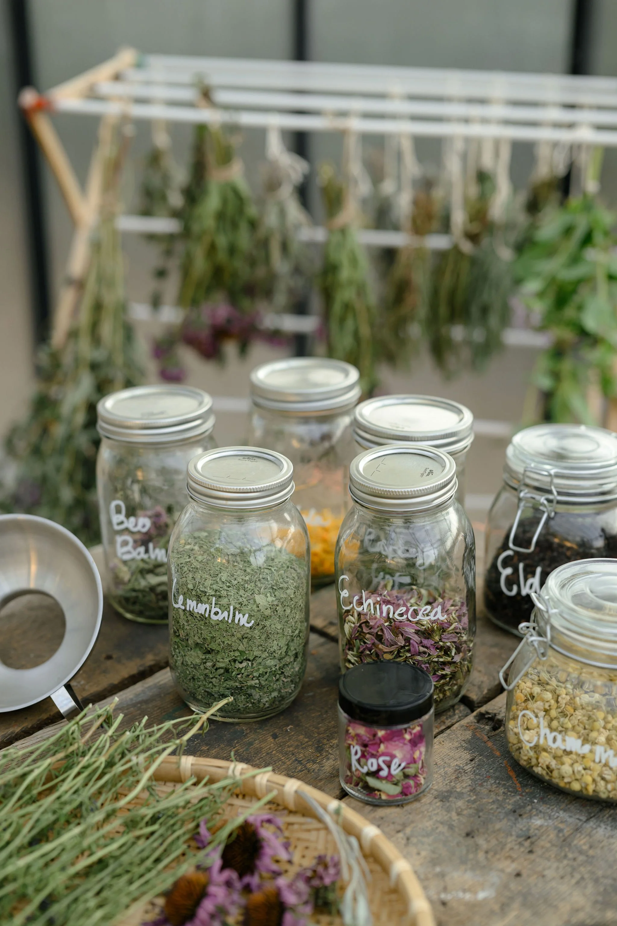 Rooted Rhythms Spring Summer 2025 - GATHER & GROW