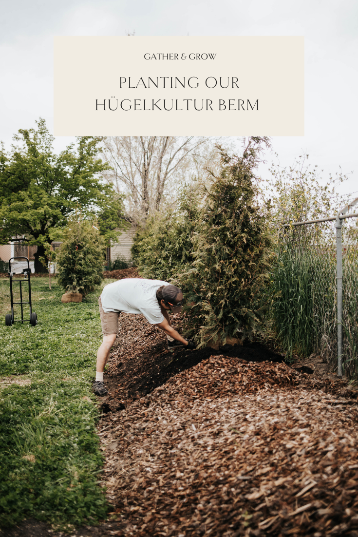 Planting our Hügelkultur Privacy Berm - GATHER & GROW