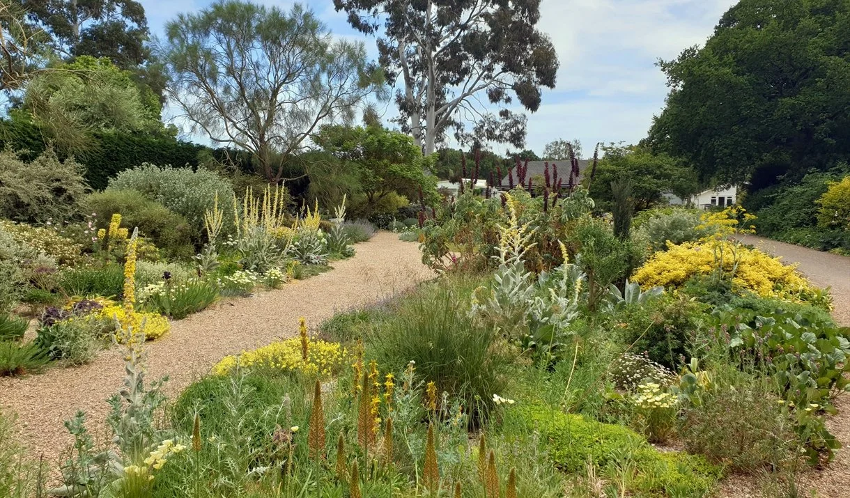 The Vision and Landscape Design for Rewilding our Land - GATHER & GROW