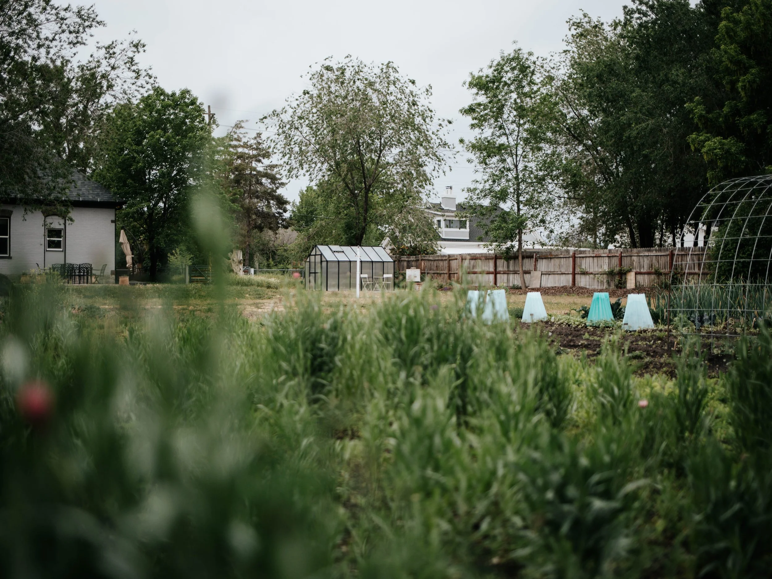 A Late Spring ‘22 Garden Update - GATHER & GROW