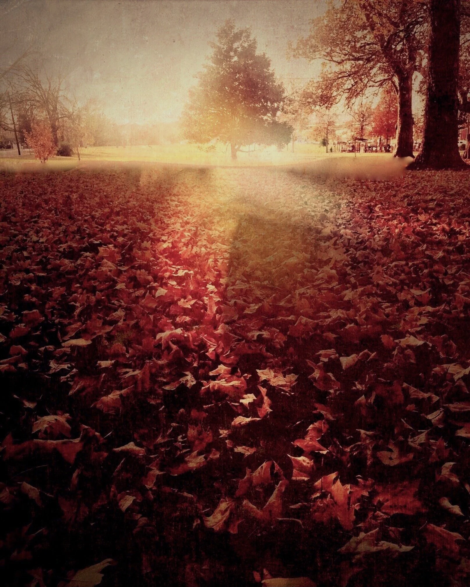 Below the Surface — Statella Design