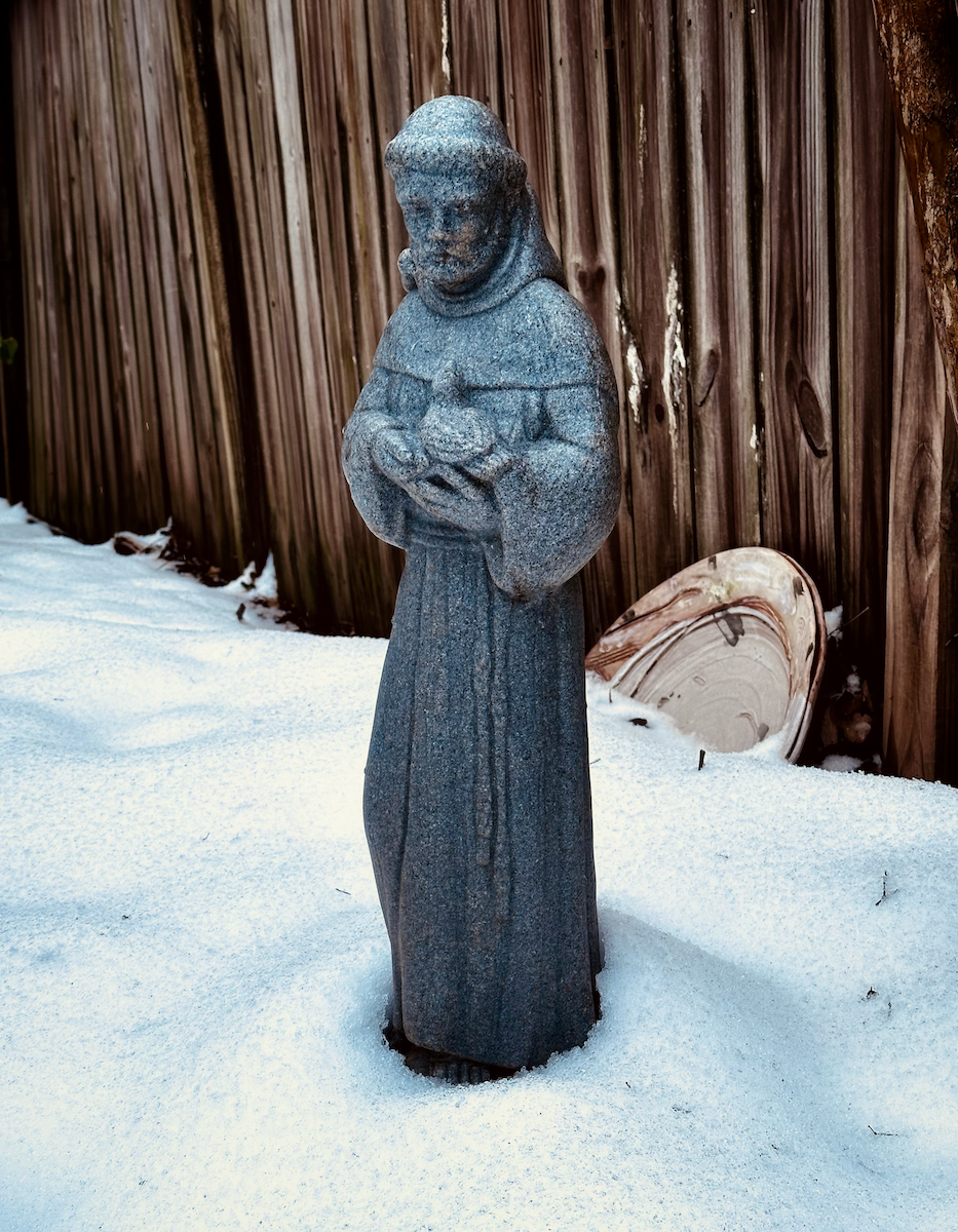 Design Blog — Statella Design | Squarespace Web Design