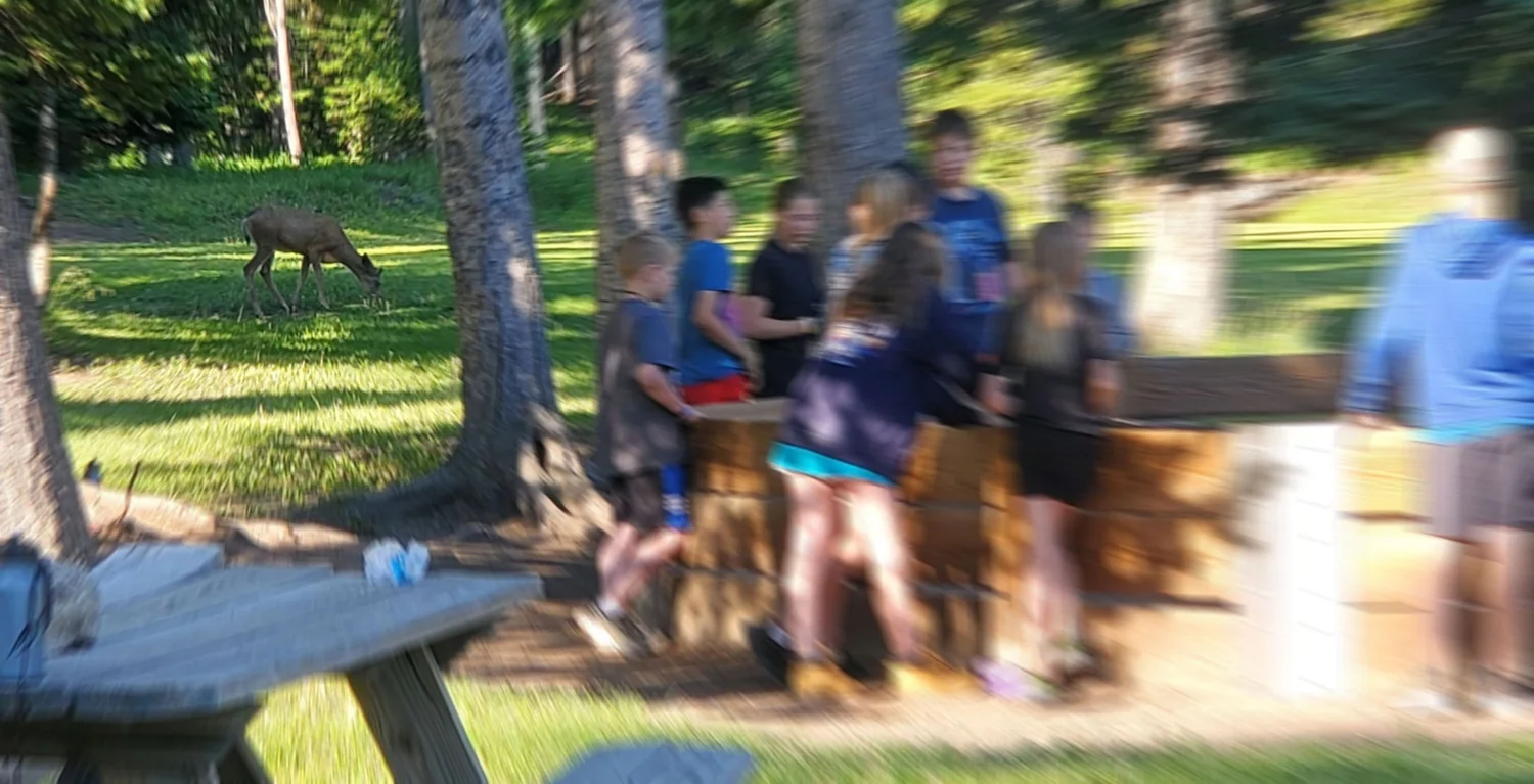 Mountain Top Baptist Summer Camp — Boyd Avenue Baptist Church