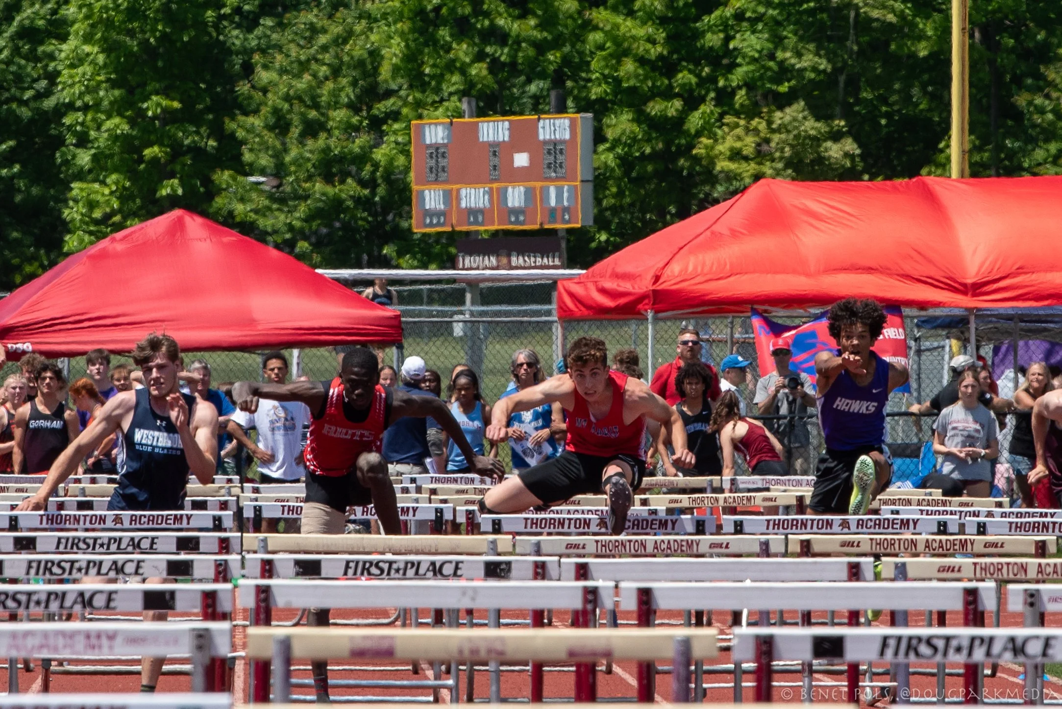 Mt. Ararat Track and Field at States, 2024 — Douglas Park Media