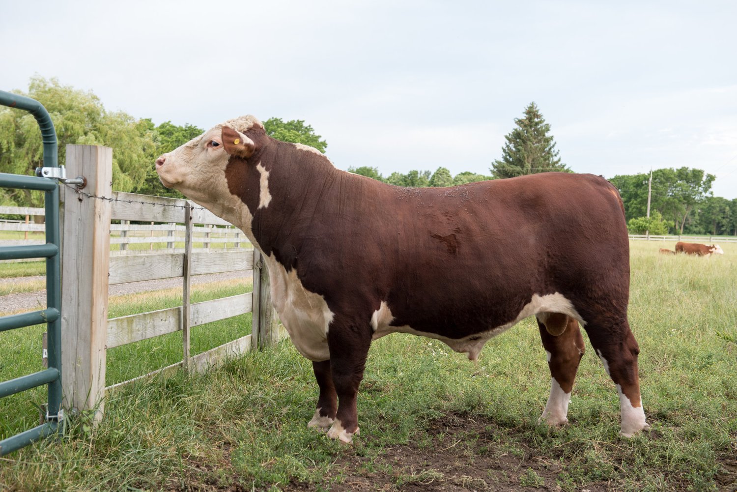 Barhaven Farm