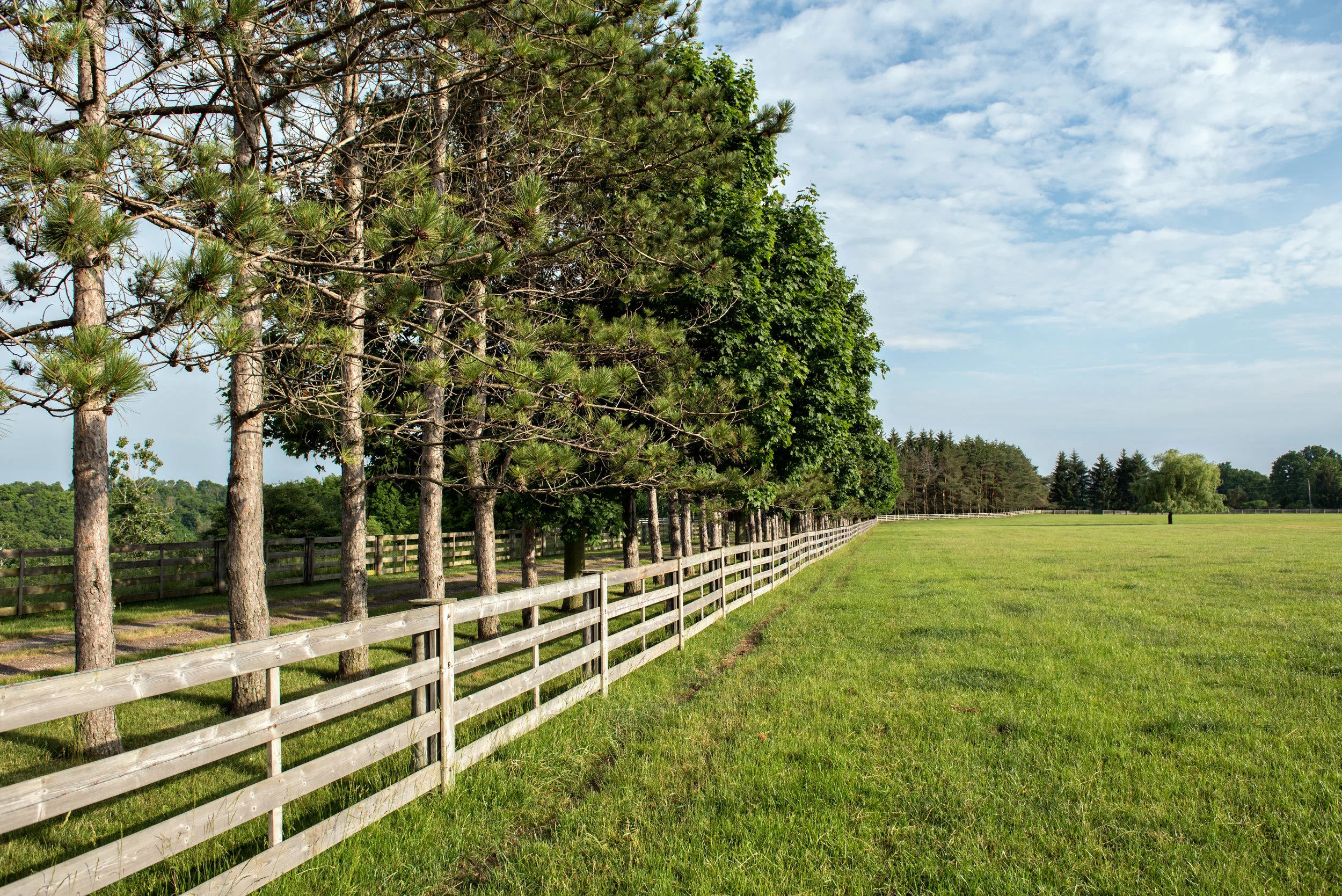 Barhaven Farm