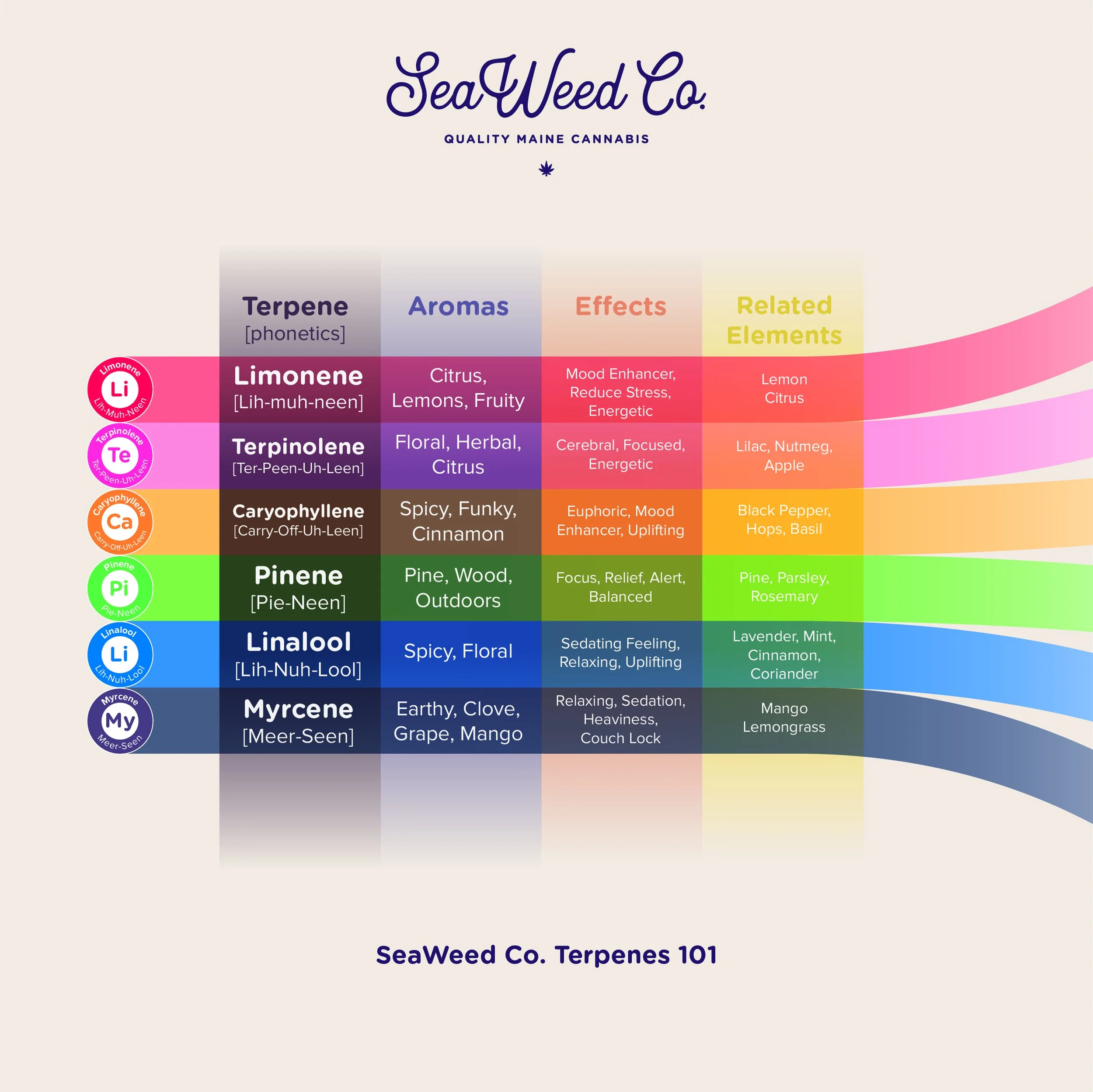 SeaWeed Co. Blog