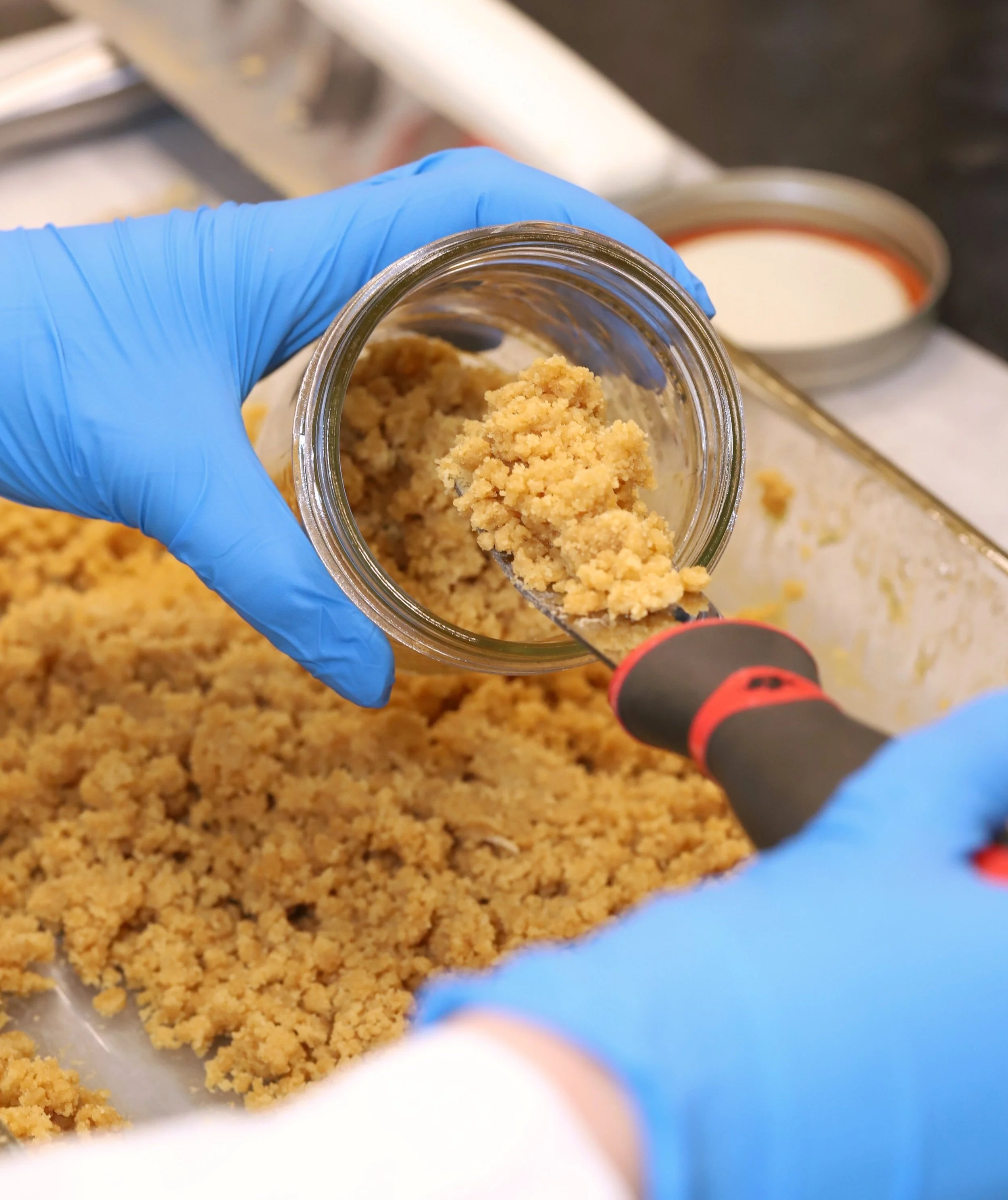 Extraction Services Portland ME - SeaWeed Co.