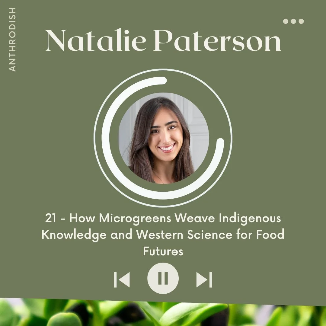 How Microgreens Weave Indigenous Western Science for Food Futures with Natalie Paterson — AnthroDish