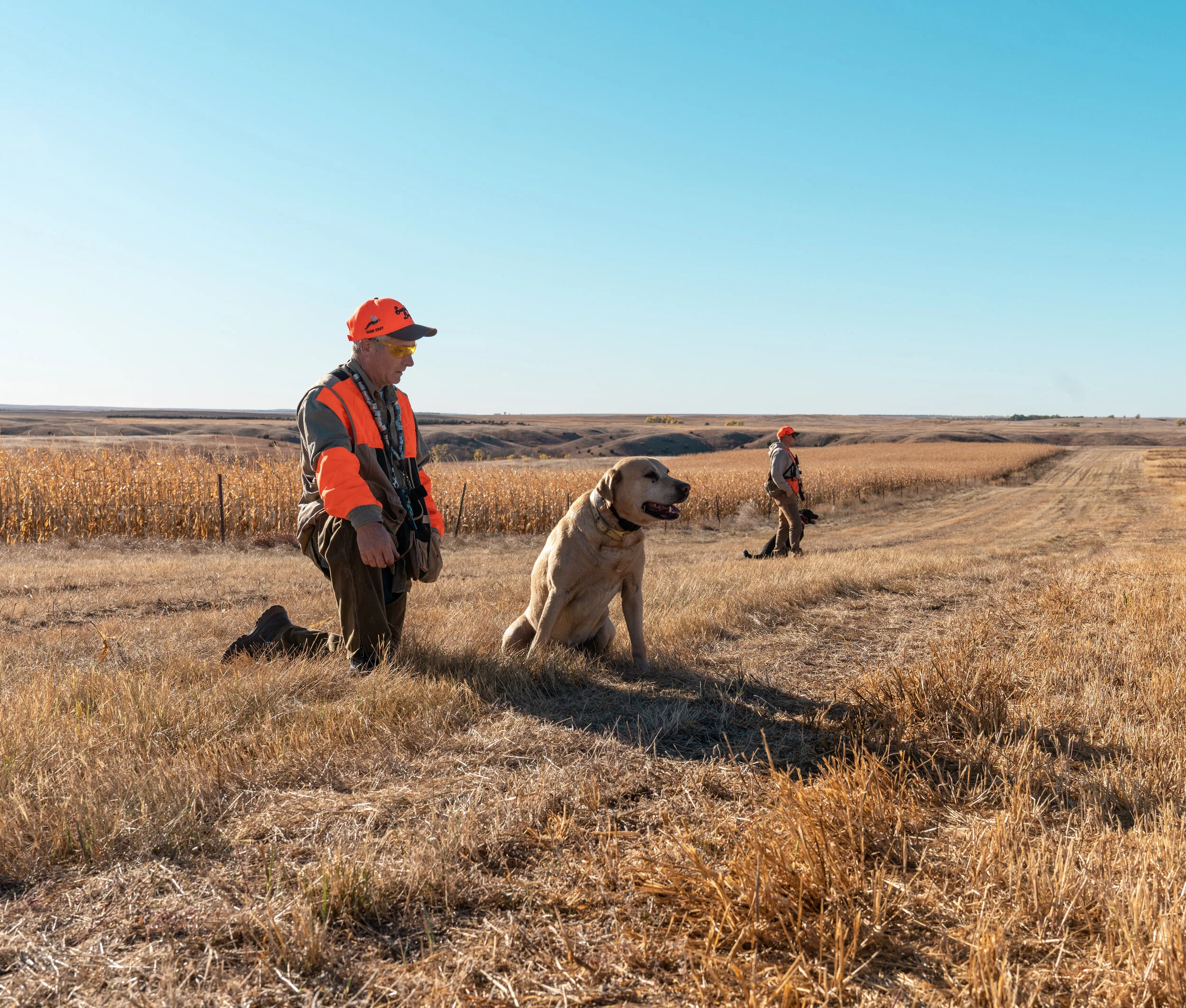 5 Tips for Off-Season Training With Your Hunting Dog — Sportsman's Pride