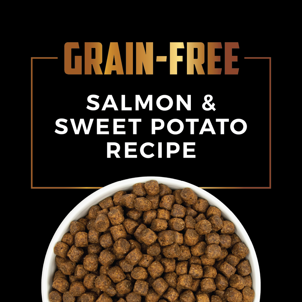 Field Master Grain Free Salmon — Sportsman's Pride