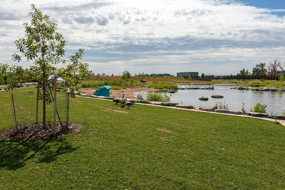Open Spaces — Hines Inc