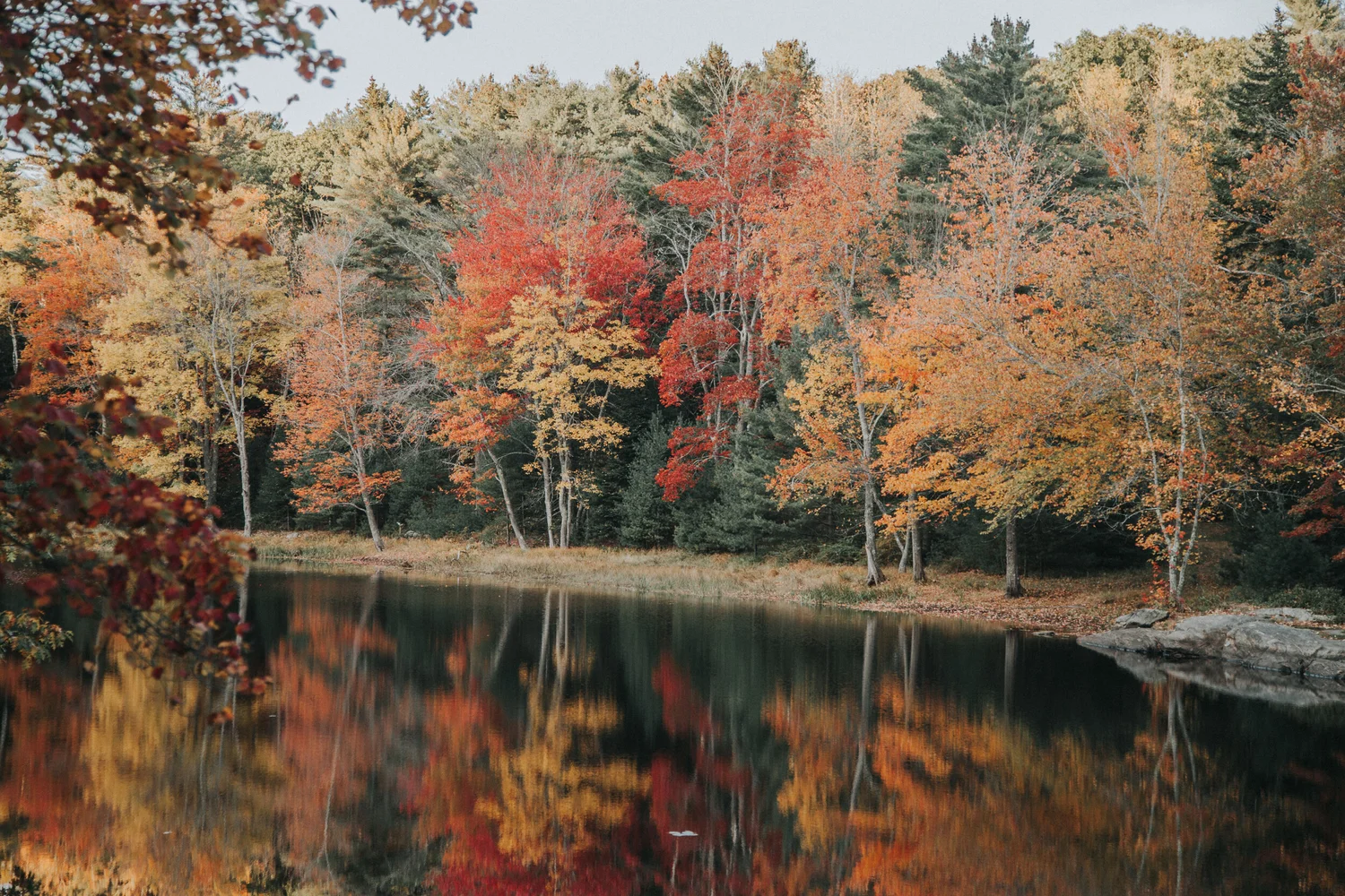 Local's Guide: Maine Fall Road Trip Itinerary (New England) — the weithouse