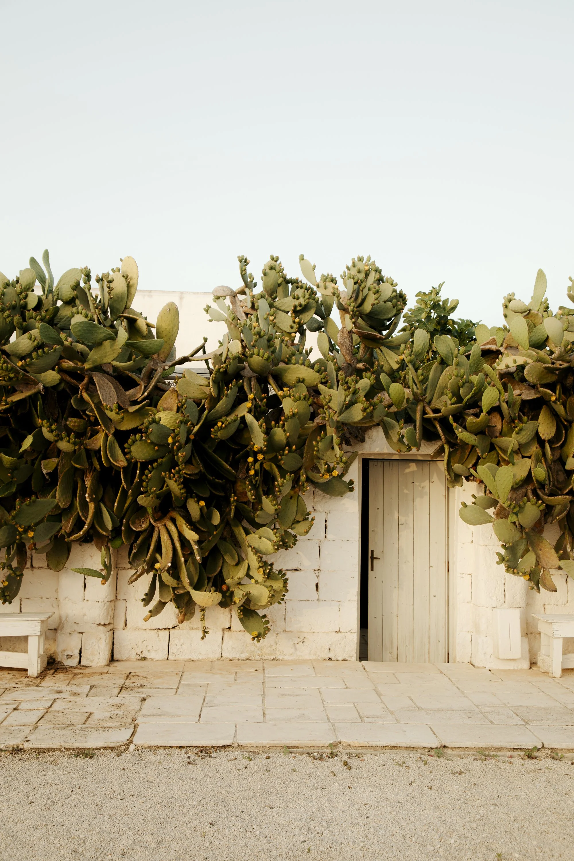 Italy Travel: The Complete Puglia Guide — the weithouse