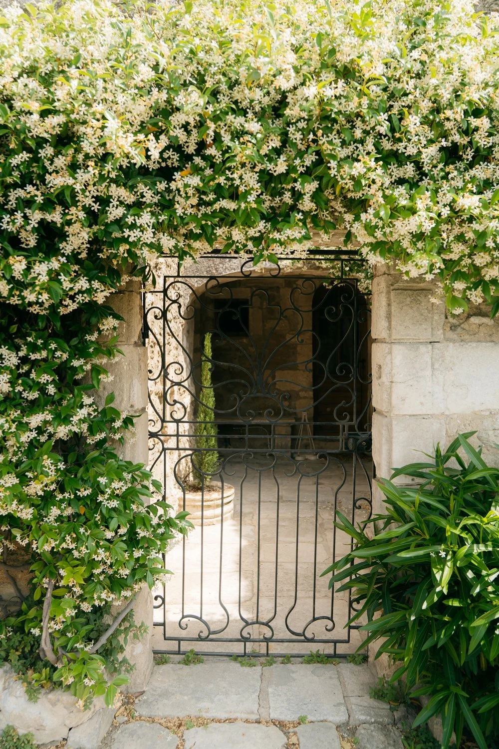 Provence in June: Peak Season in Provence — the weithouse