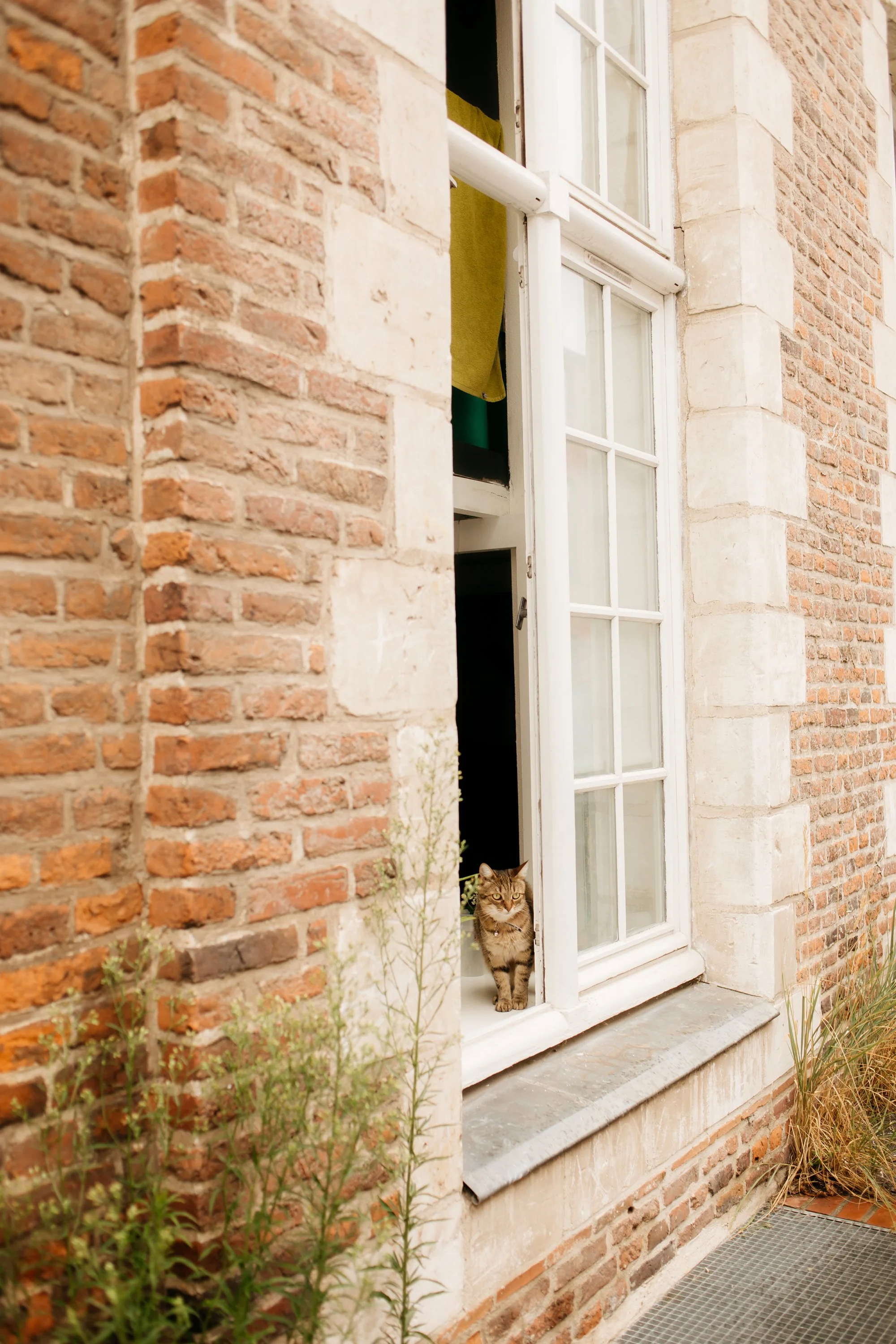 The Lille, France (Weekend) Travel Guide — the weithouse